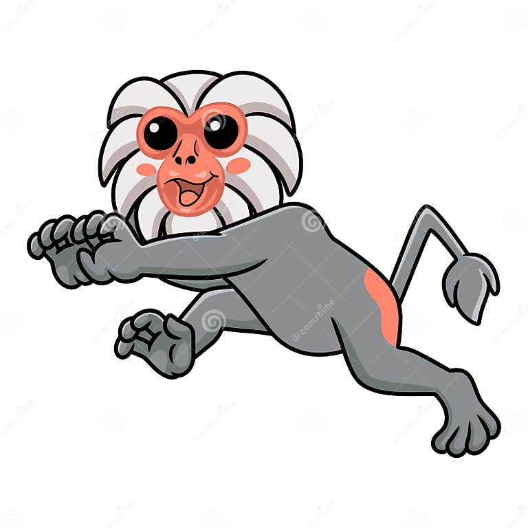 Cute Little Hamadryad Monkey Cartoon Running Stock Vector ...