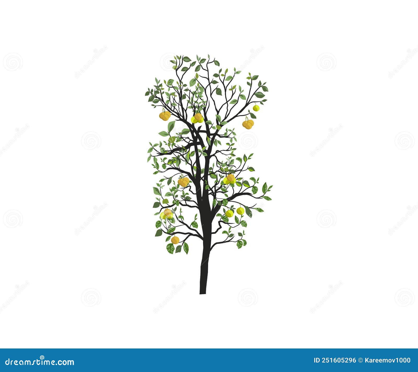 Lime Tree Illustrations Isolated Stock Vector - Illustration of ...