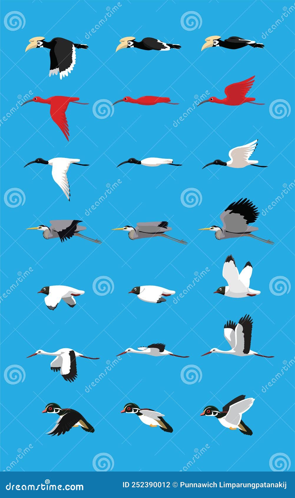 Flying Ibis Bird Threskiornithidae On A Side View Silhouette Found In ...