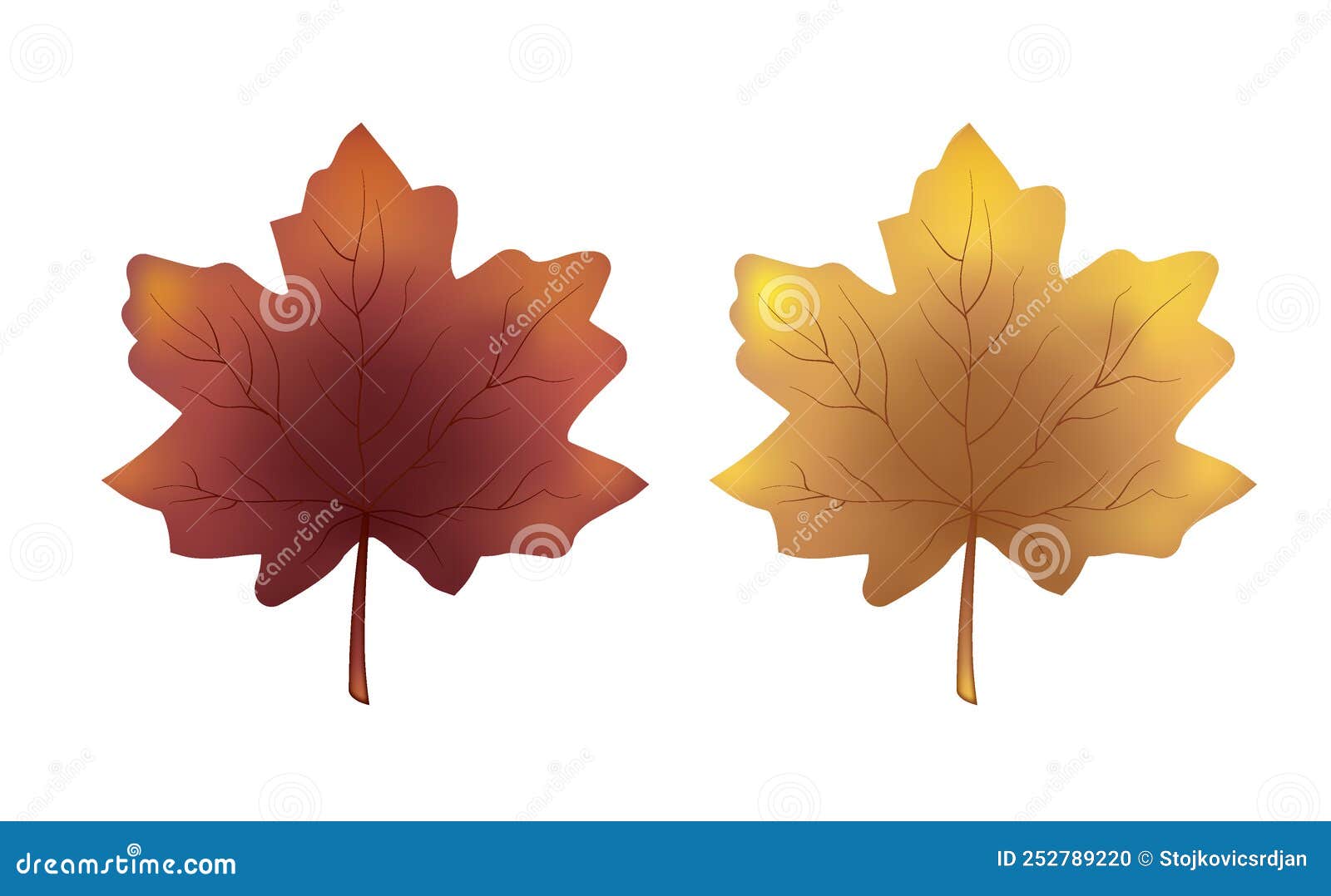 Autumn brown leaf stock vector. Illustration of canada - 252789220