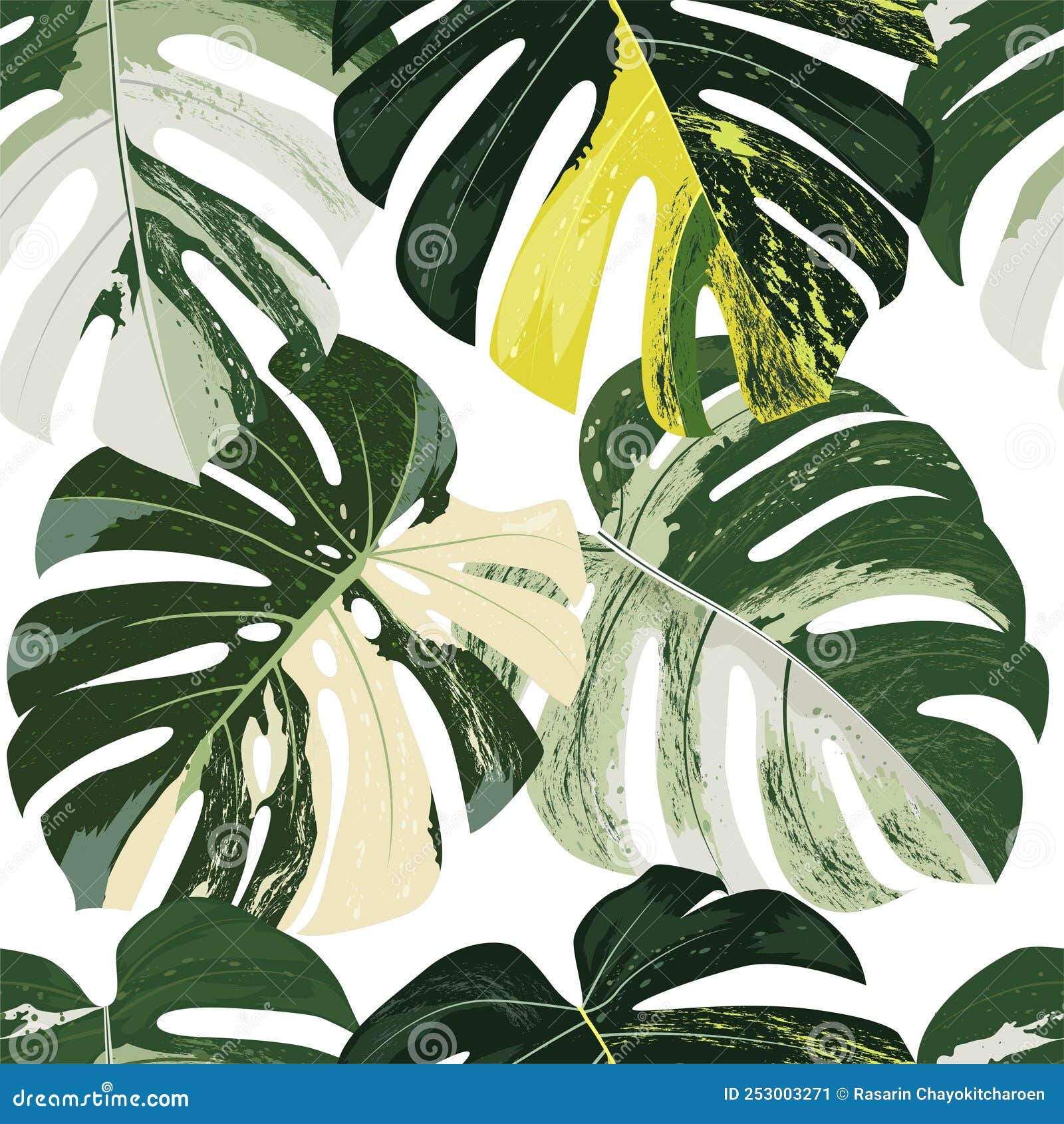 Hand Drawn Spotted Montera Leaves Background is Black Stock ...