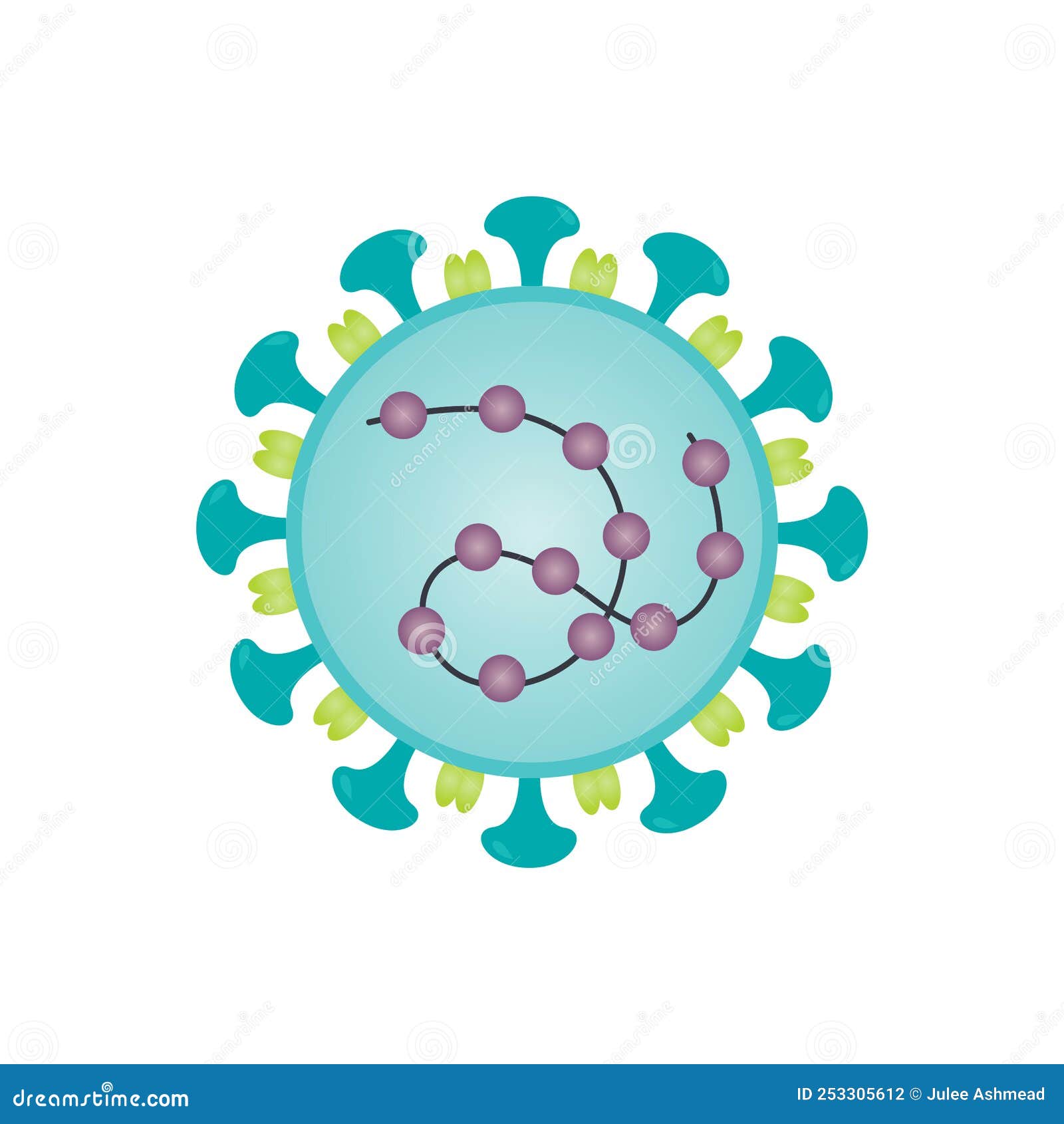 SARS-CoV-2 Virus Structure Diagram Stock Vector - Illustration of ...