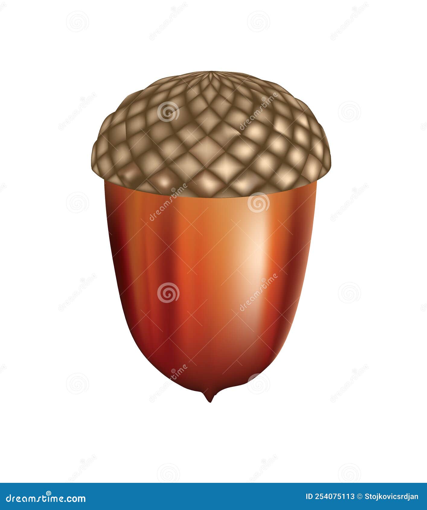 Realistic Acorn Drawing With Cap In Black Isolated On White Background ...