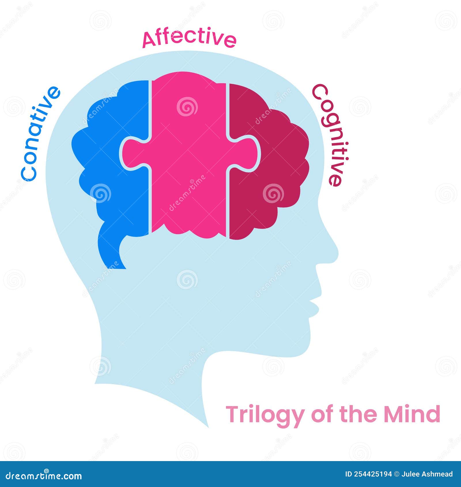 Trilogy of the Mind: Cognitive, Affective, Conative Stock Vector ...