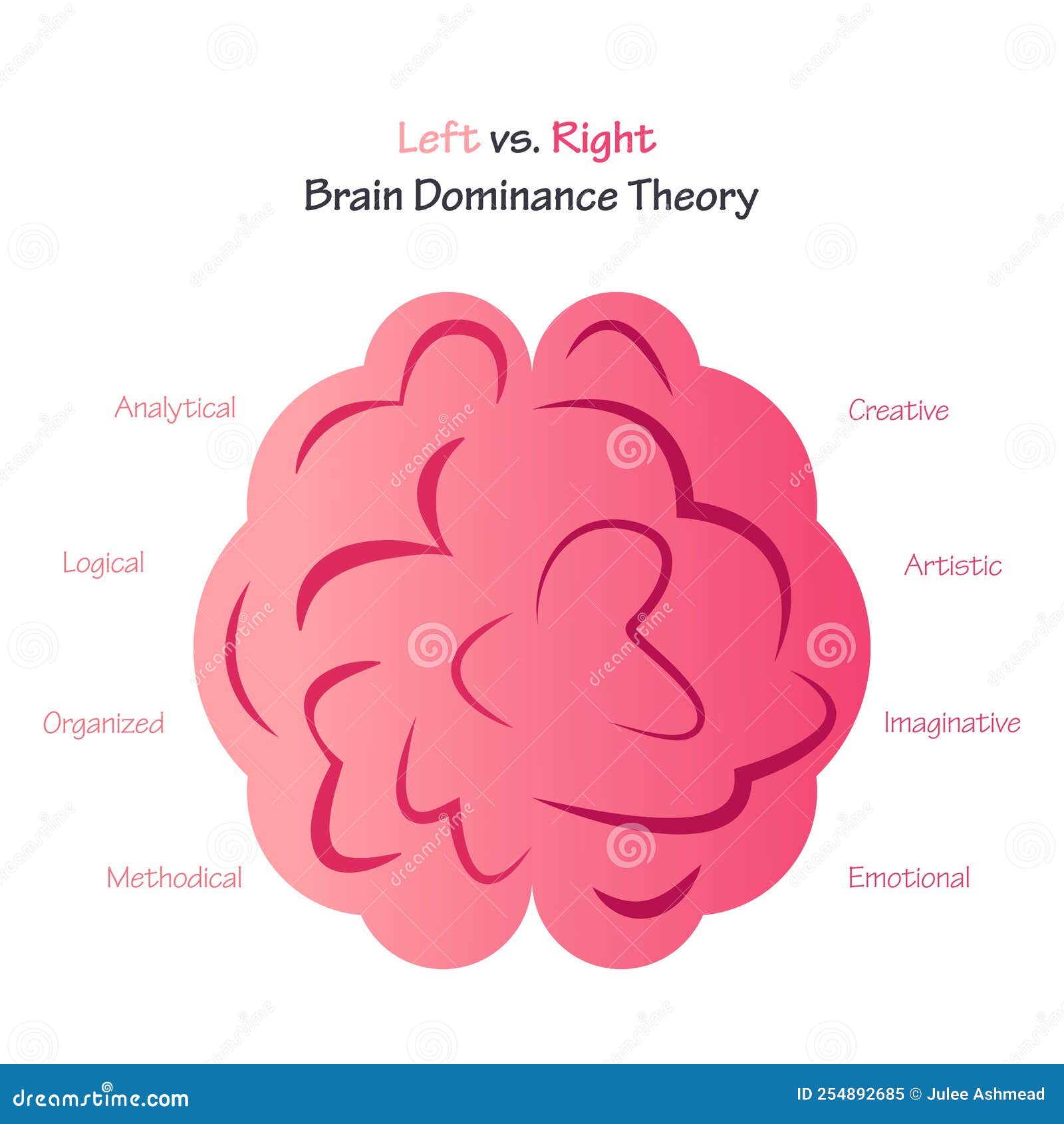 Left Versus Right Brain Dominance Theory Stock Vector - Illustration of ...