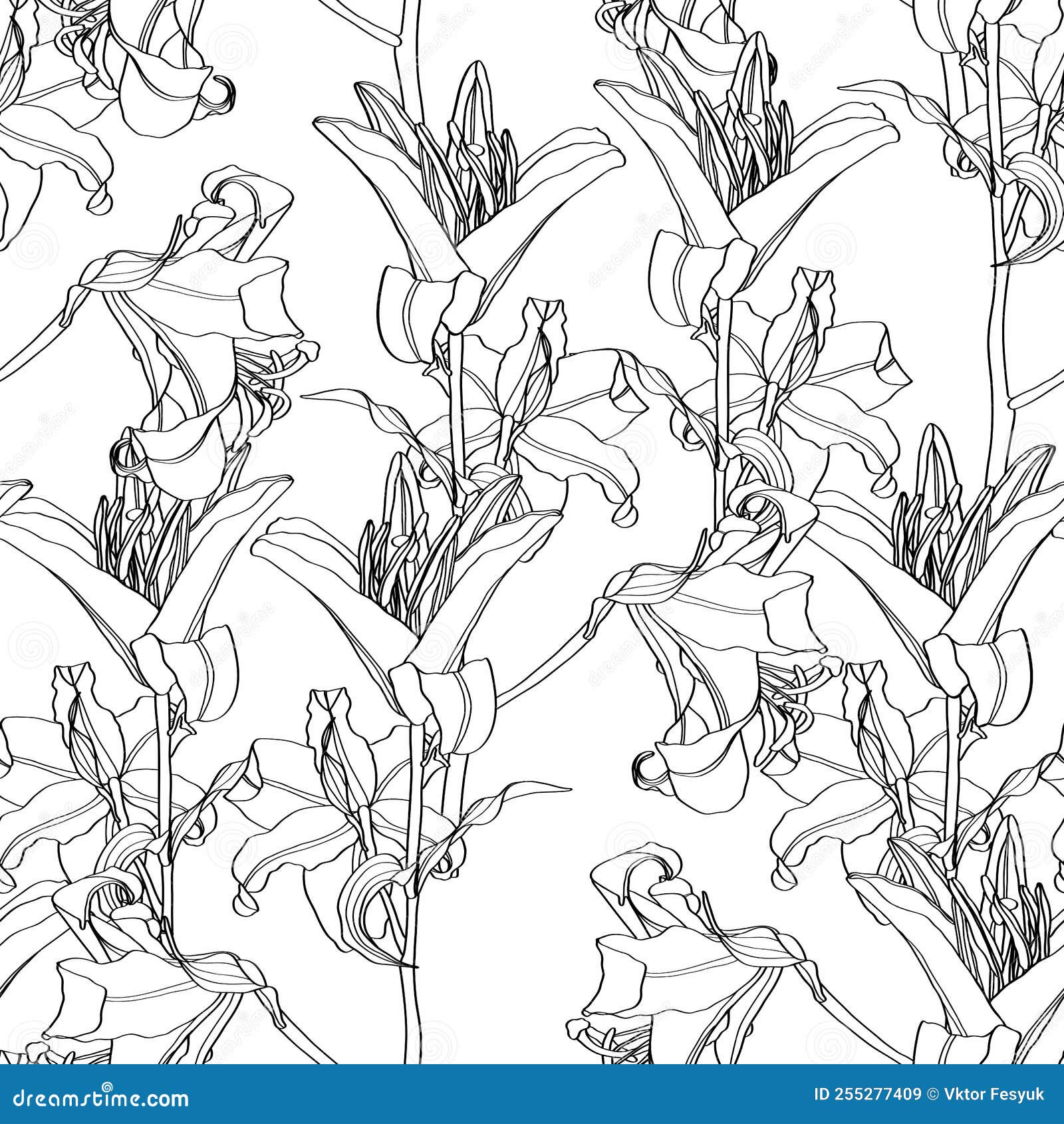 Beautiful Outline Floral Pattern Lily Flowers. Seamless Texture. for ...