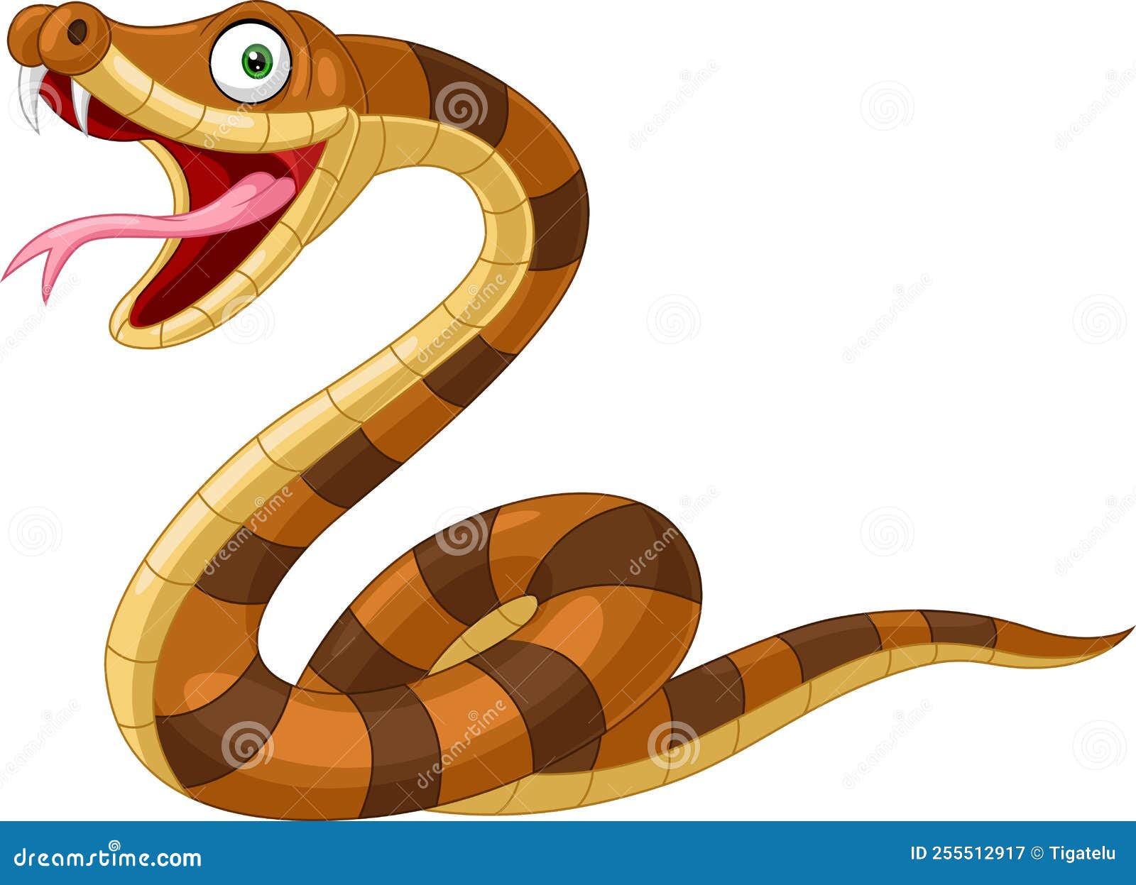 A Brown Snake In Male Hands Releases Venom Into Transparent Glass ...