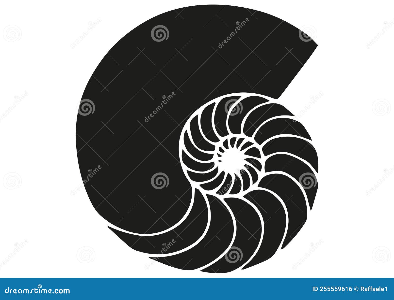 Golden shell design stock illustration. Illustration of creation ...