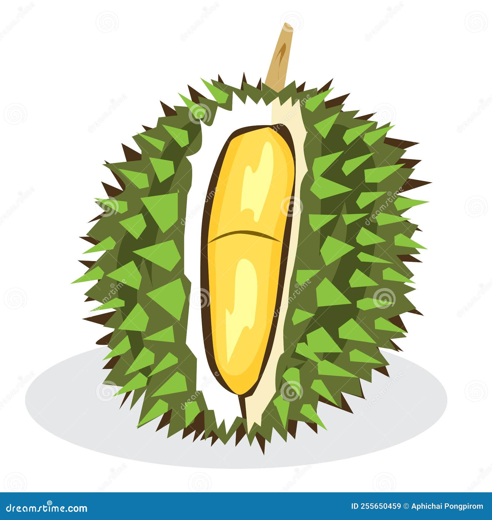 Collection of Durian Fruit Vector Illustration for Use in Design ...