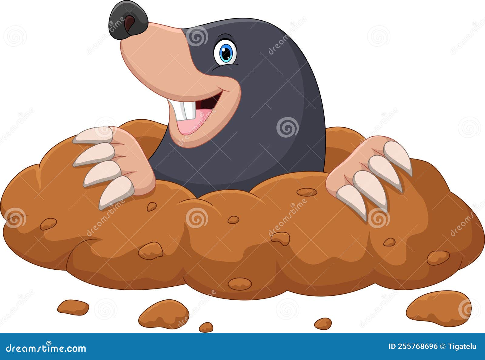 Cartoon Mole Come Out of the Hole Stock Vector - Illustration of ...