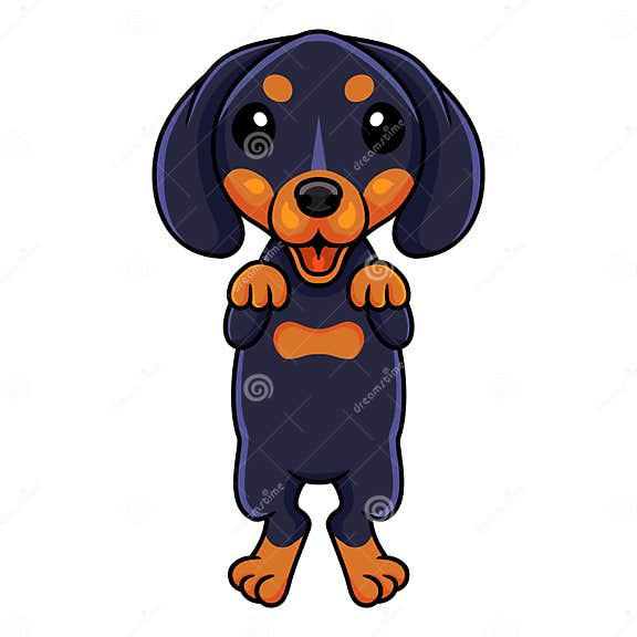 Cute Dashund Dog Cartoon Posing Stock Vector - Illustration of cartoon ...