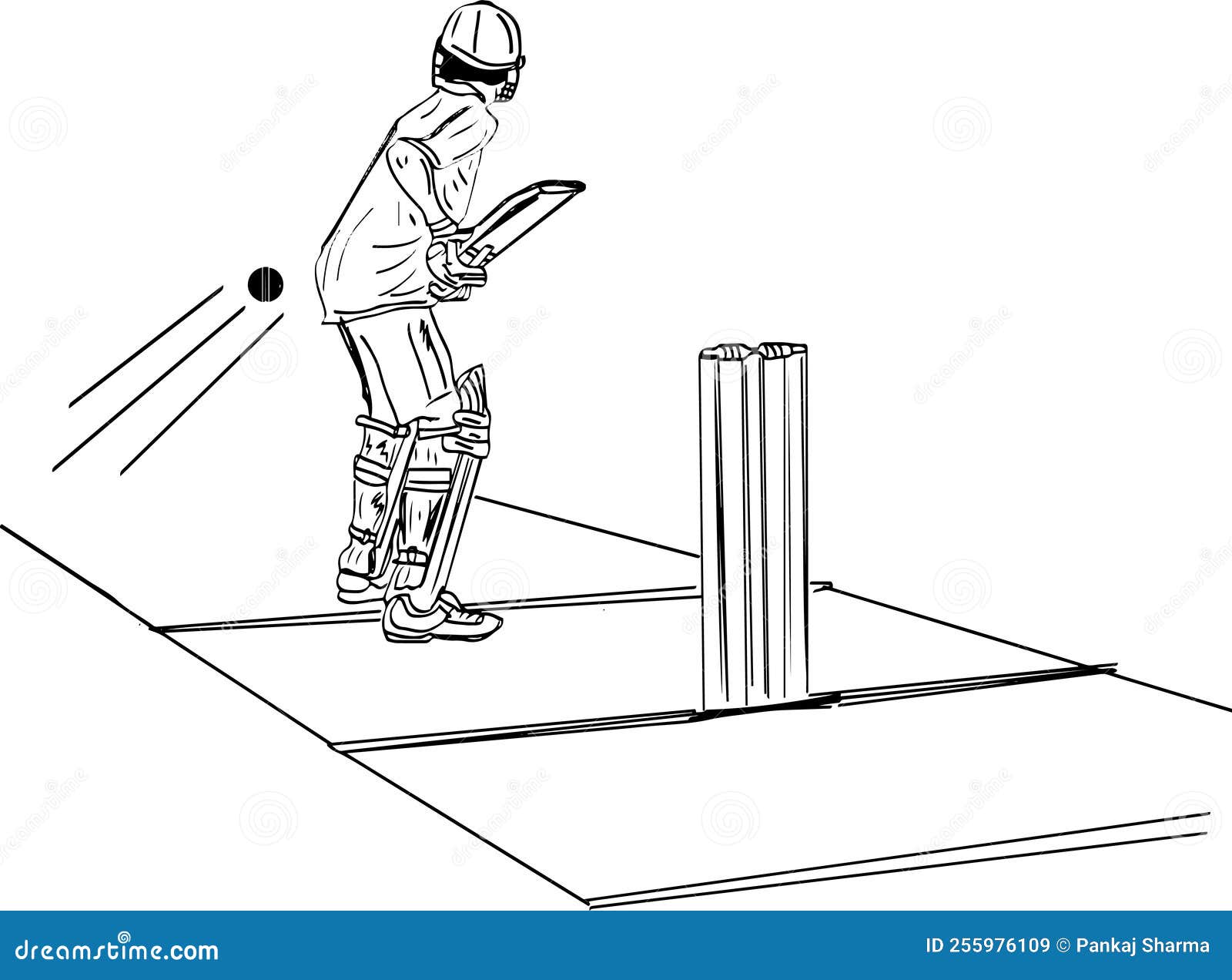 Cricket Nets Stock Illustrations – 2 Cricket Nets Stock Illustrations ...