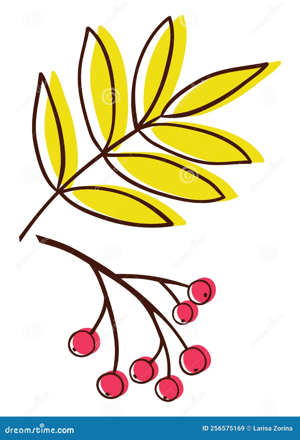 Hand Drawing Cartoon Autumn Rowan Leaves. Stock Vector - Illustration ...
