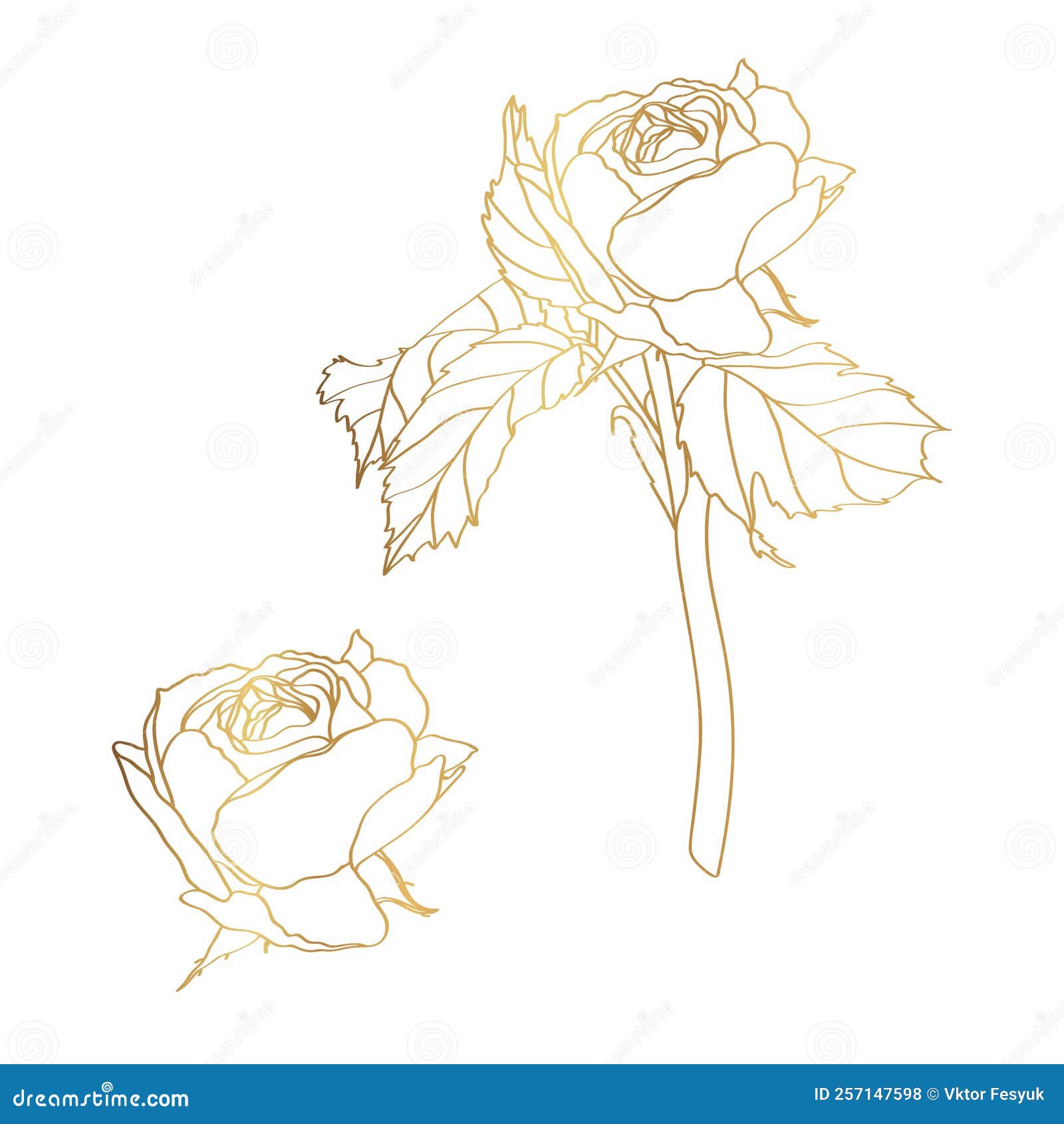 Rose Flowers and Leaves with Golden Gradient. Isolated on White. Hand ...