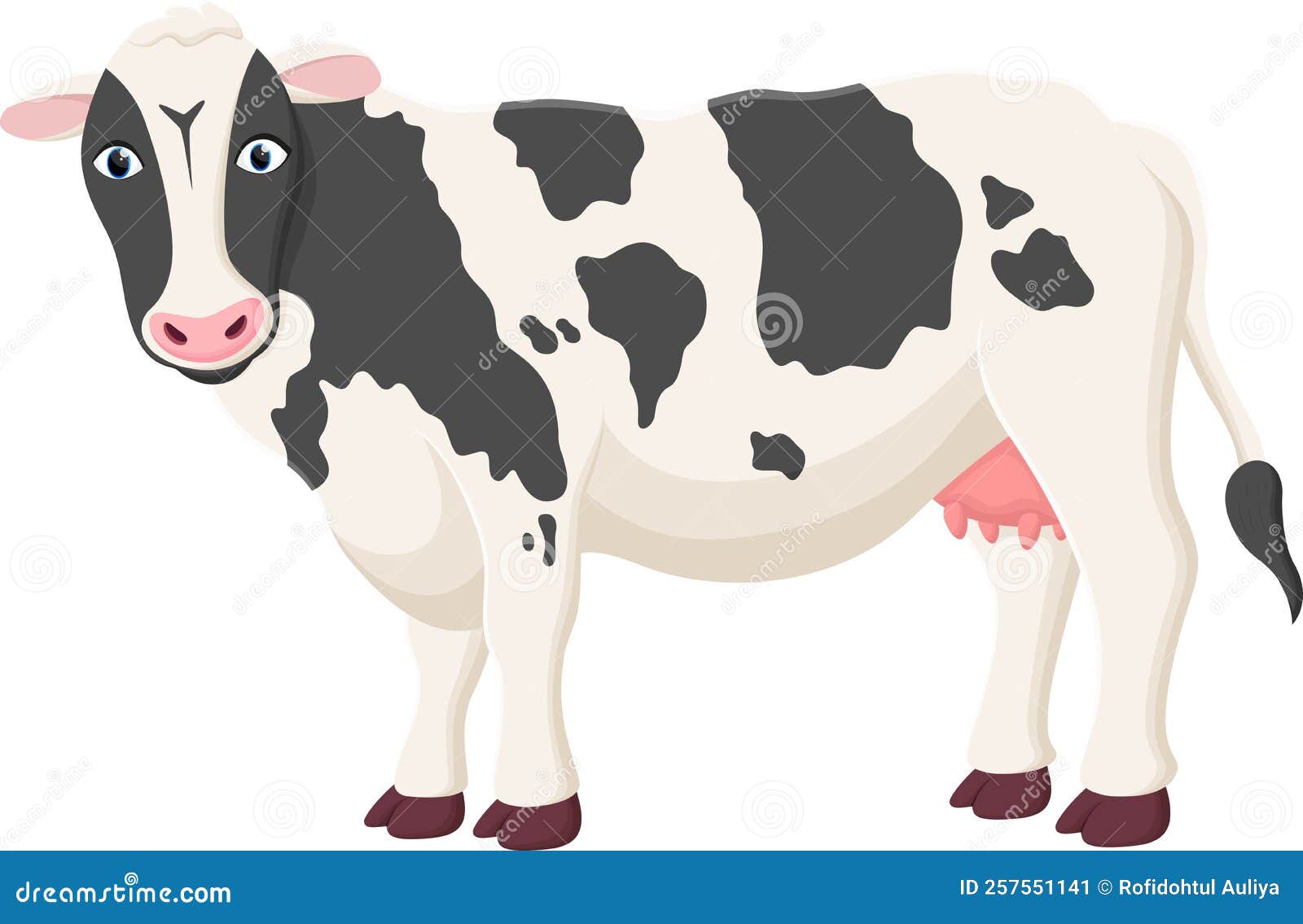 Dairy Cow Spotted Cartoon Design Isolated on White Background Stock ...