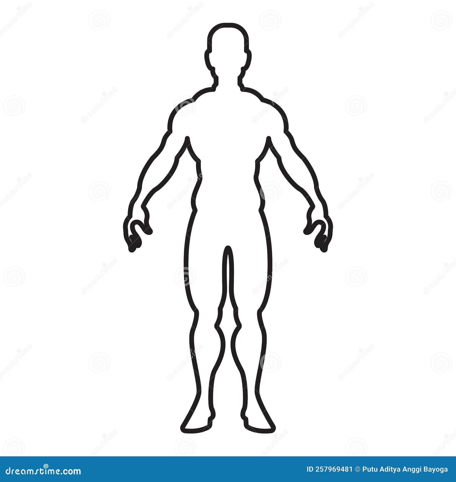 Thin line male body stock vector. Illustration of thin - 257969481