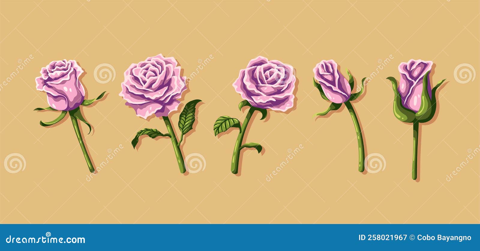 Detailed Pink Rose Collection Set Stock Vector - Illustration of ...