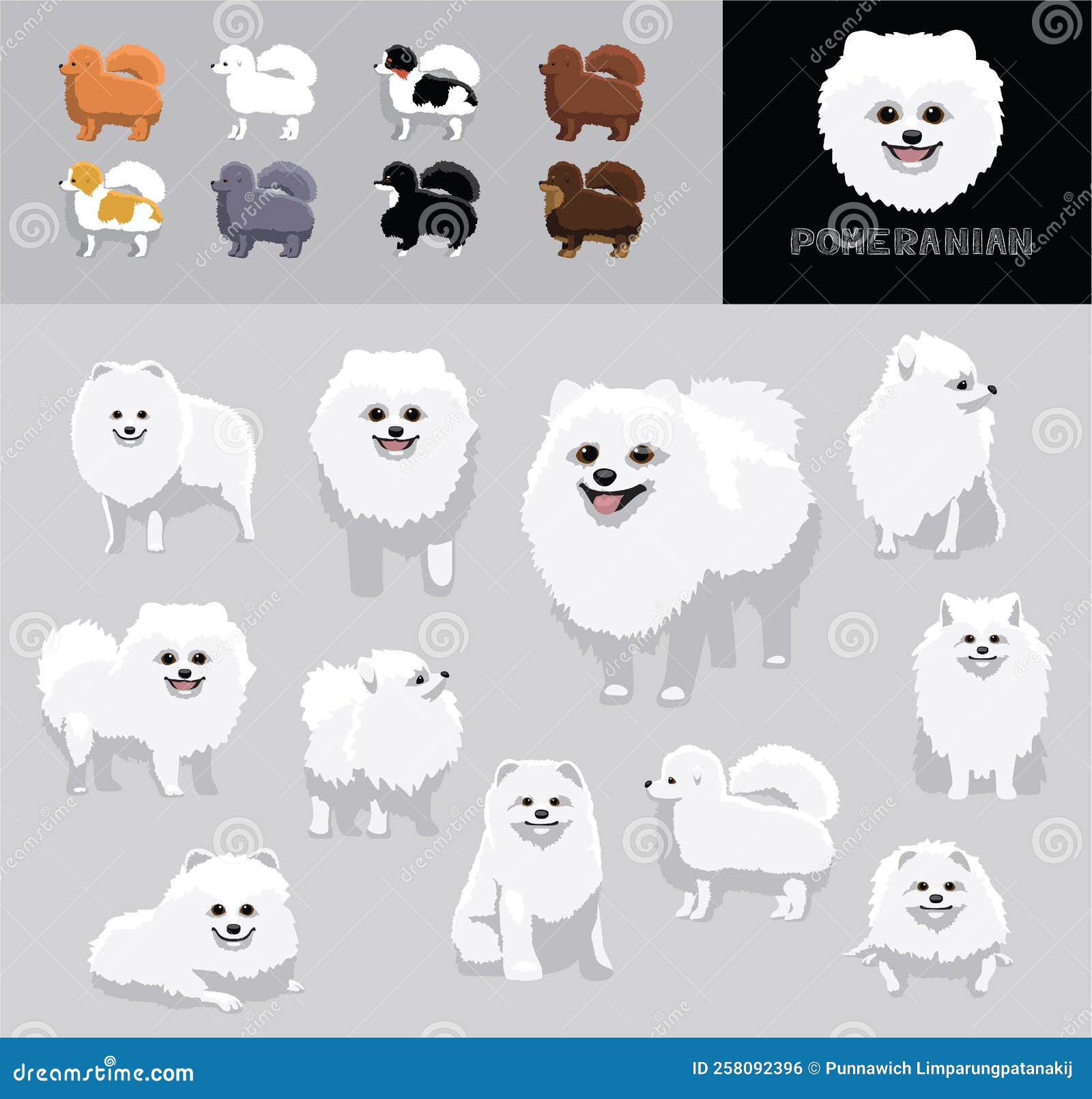 Dog Pomeranian White Coat Cartoon Vector Illustration Color Variation ...