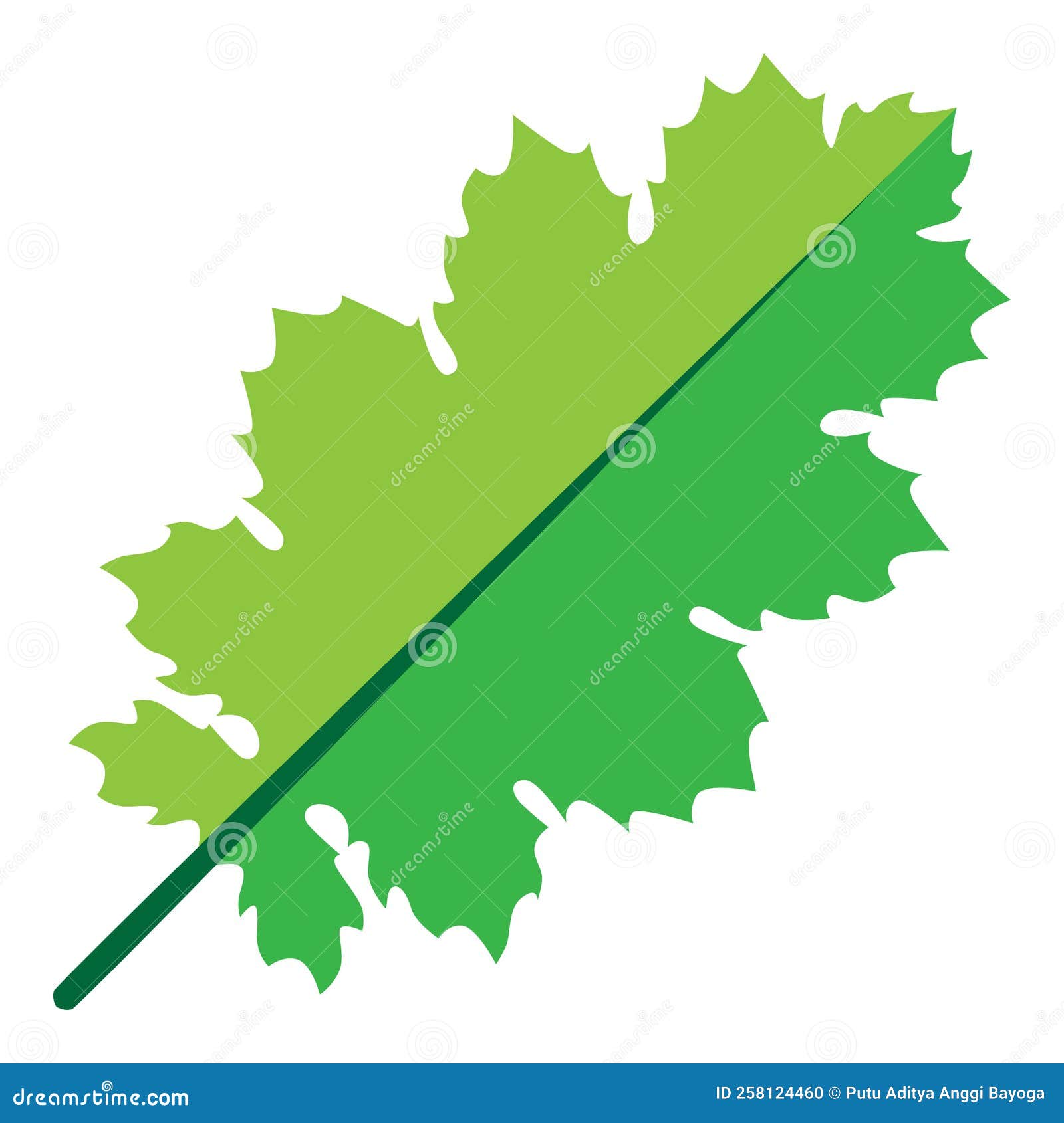 Cartoon leaf stock vector. Illustration of nature, leaf - 258124460