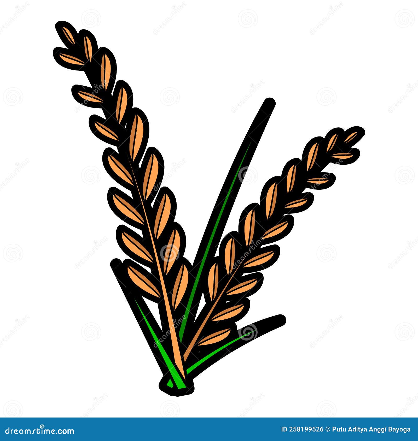 Cartoon paddy stock vector. Illustration of paddy, design - 258199526