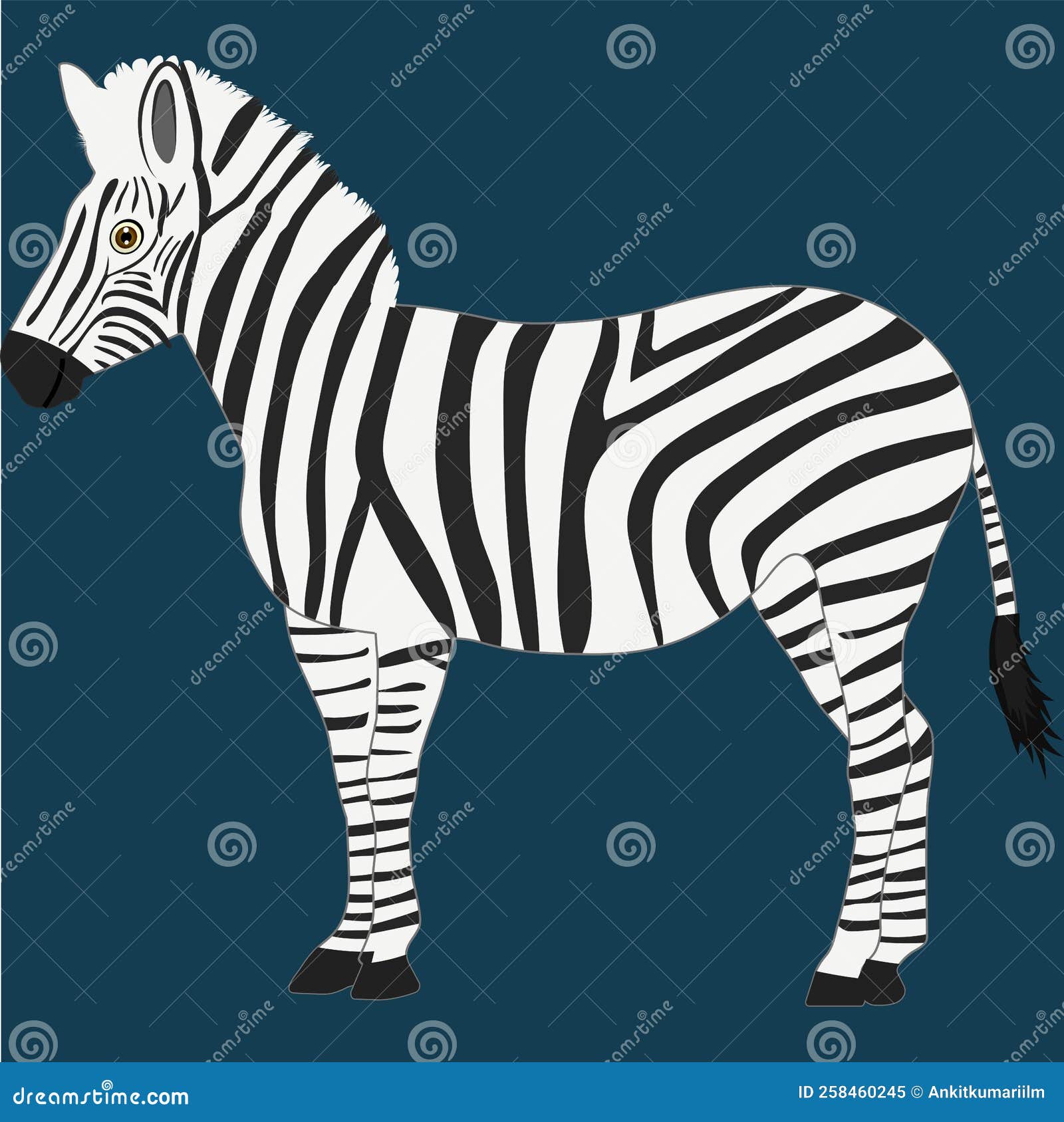 An Isolated Zebra Vector Illustration Graphic Stock Illustration ...