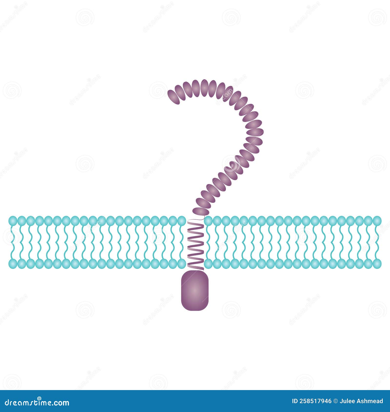 Toll-like Receptor Science Vector Illustration Background Graphic Stock ...