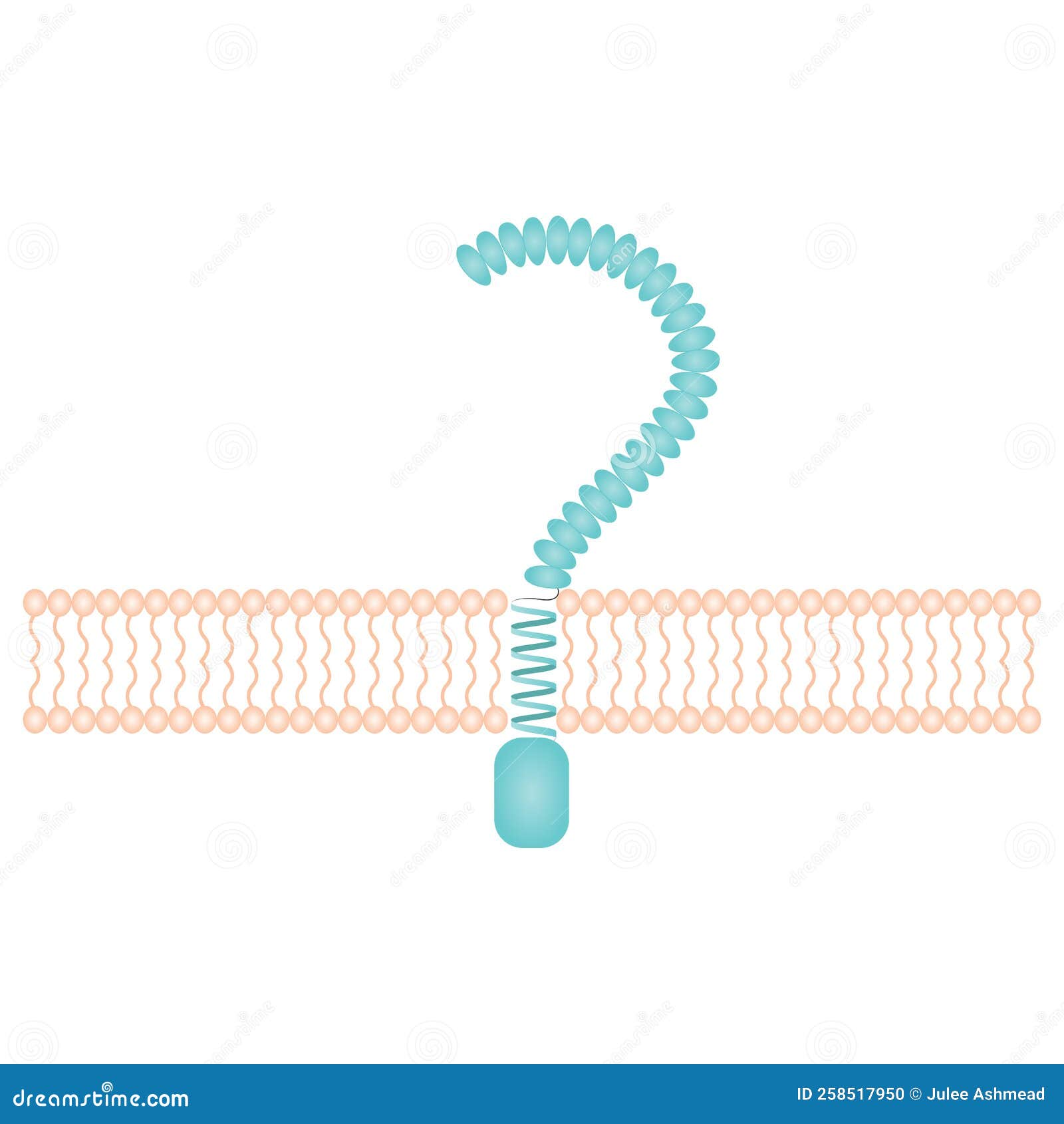 Toll-like Receptor Science Vector Illustration Background Graphic Stock ...