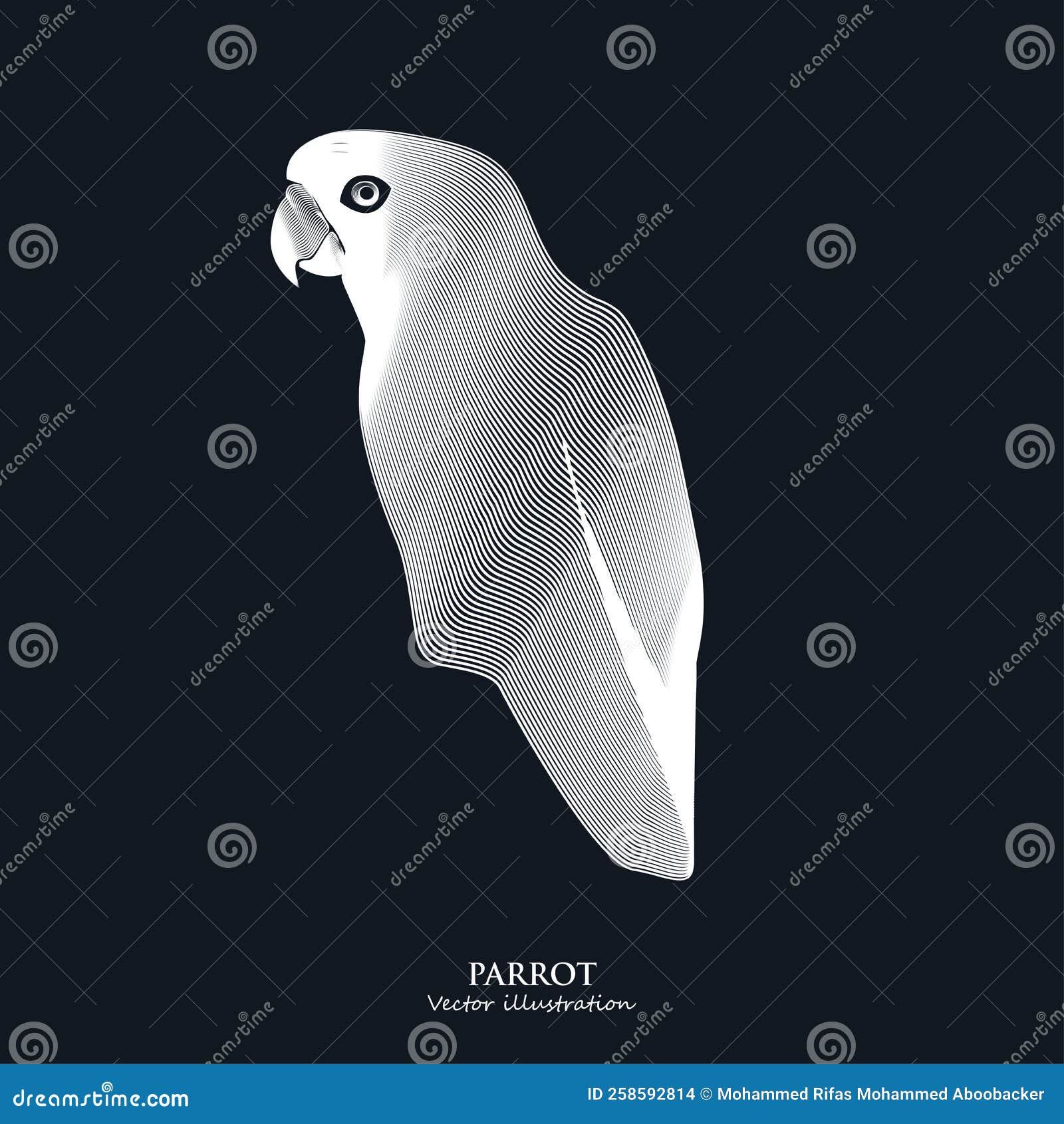 Parrot Line Art Vector Illustration Stock Illustration - Illustration ...