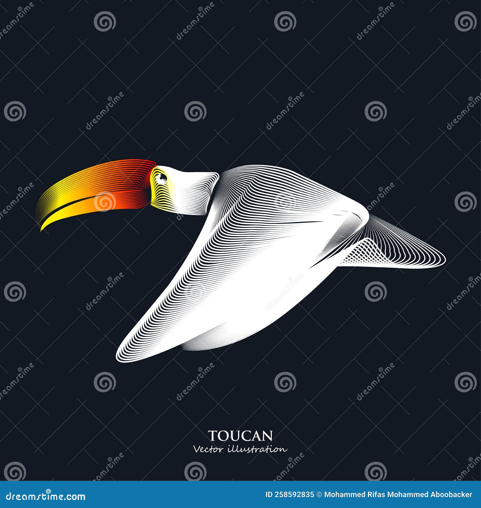 Toucan Line Art Vector Illustration Stock Vector - Illustration of ...
