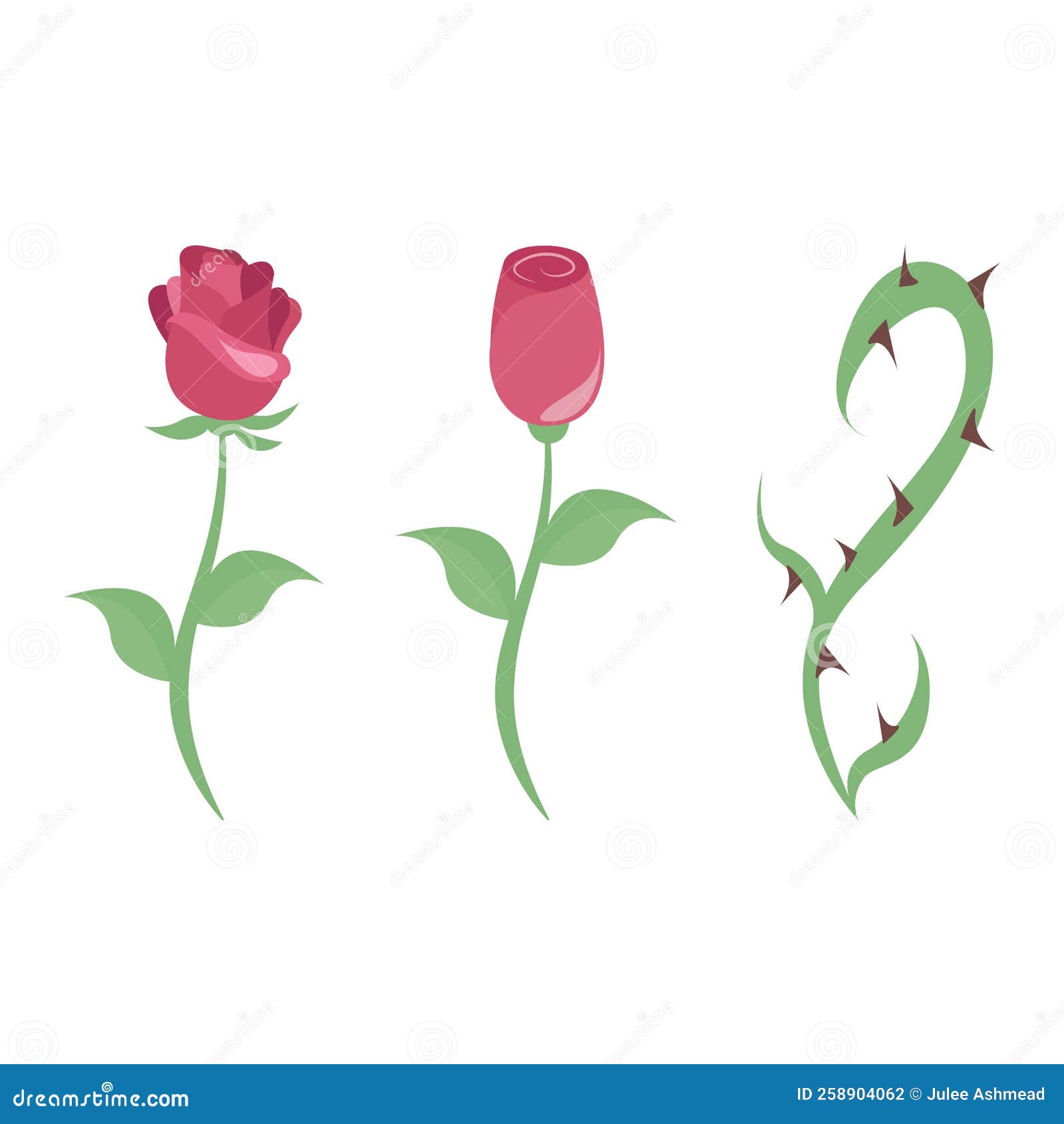 Rose, Rose Bud, and Thorn Vector Illustration Graphics Stock Vector ...
