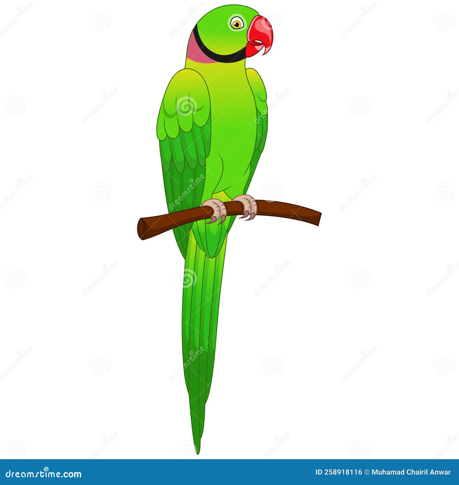 Cute Macaw Parrot Cartoon on Tree Branch Stock Vector - Illustration of ...