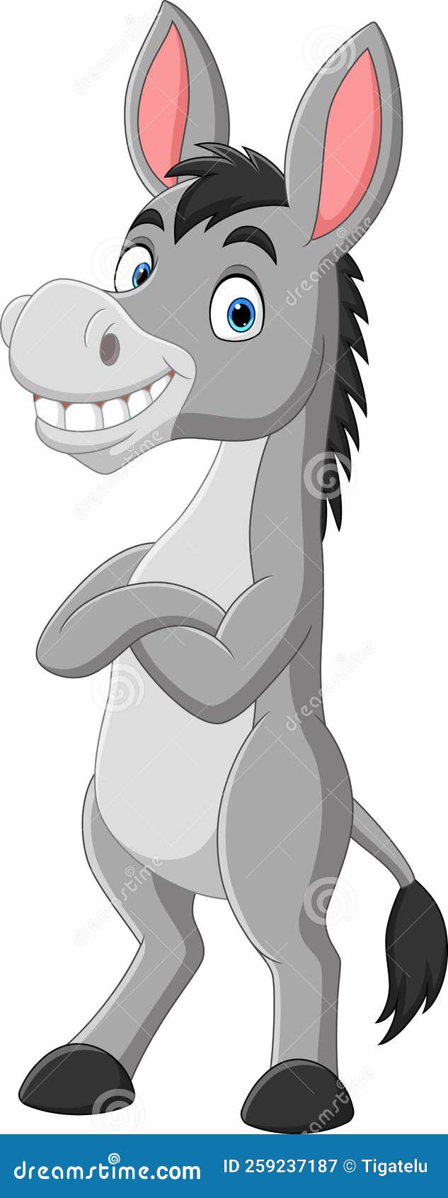 Cute Little Donkey Cartoon Posing Stock Vector - Illustration of hoof ...