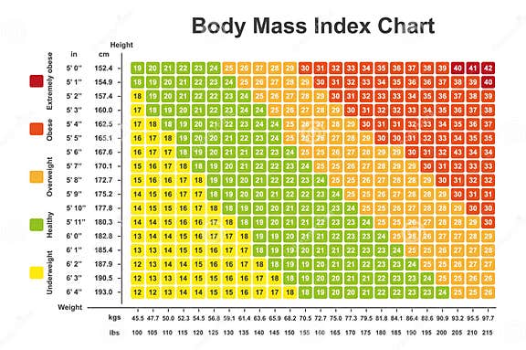 Body Mass Index (BMI) Chart Stock Vector - Illustration of banner ...