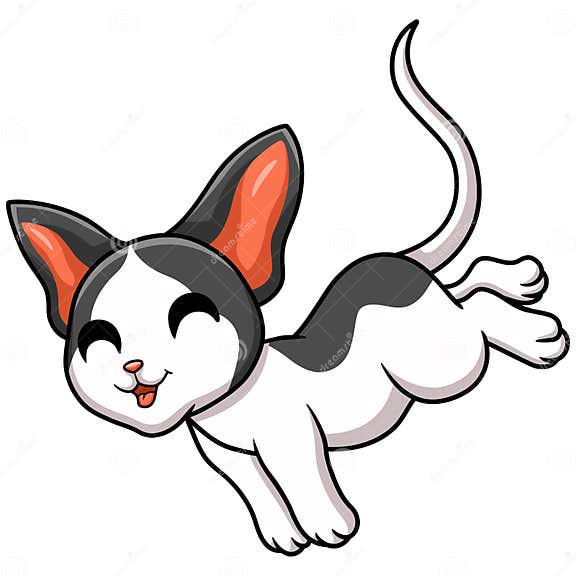 Cute Oriental Cat Cartoon Jumping Stock Vector - Illustration of kitty ...