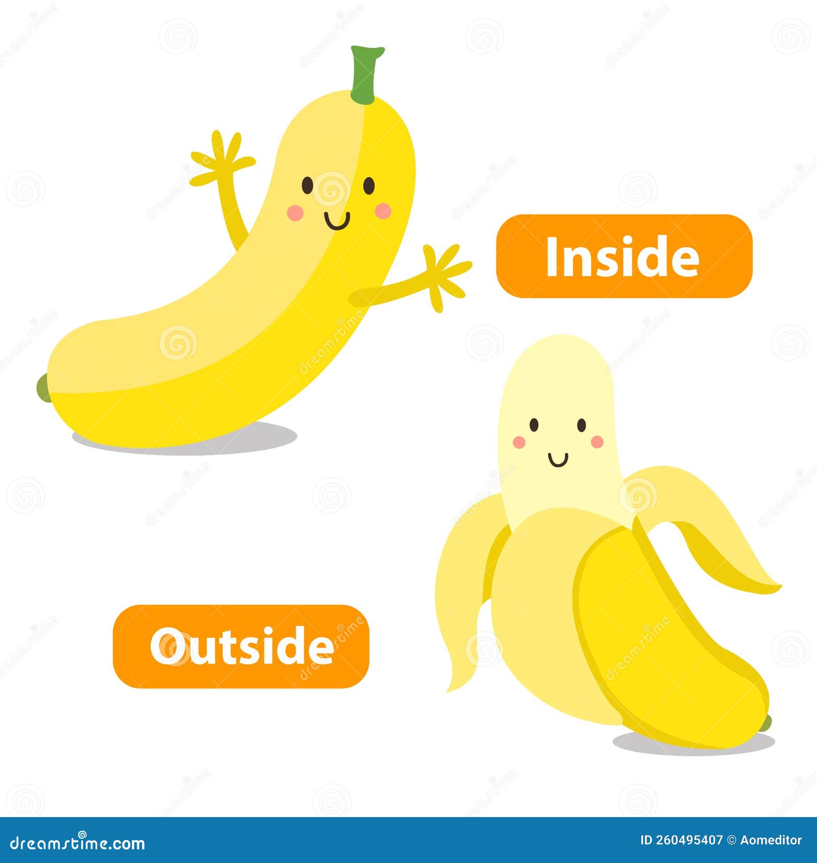 Inside And Outside Opposite Adjectives Educational Flashcard Vector ...