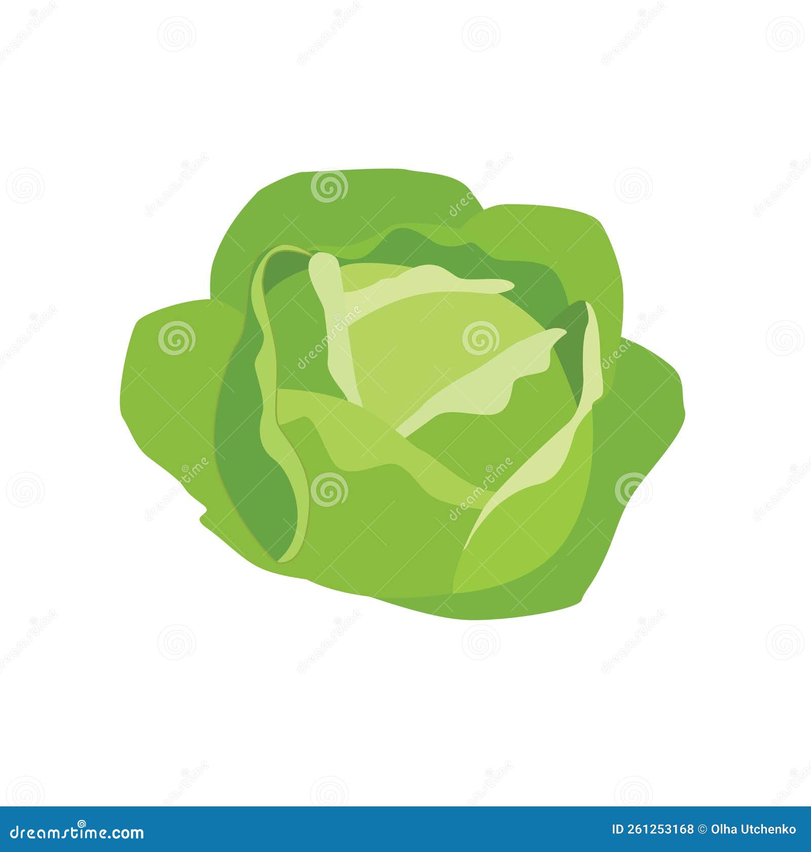 Print. Vector White Cabbage. Vegetable. Food for Vegetarians. Farm ...