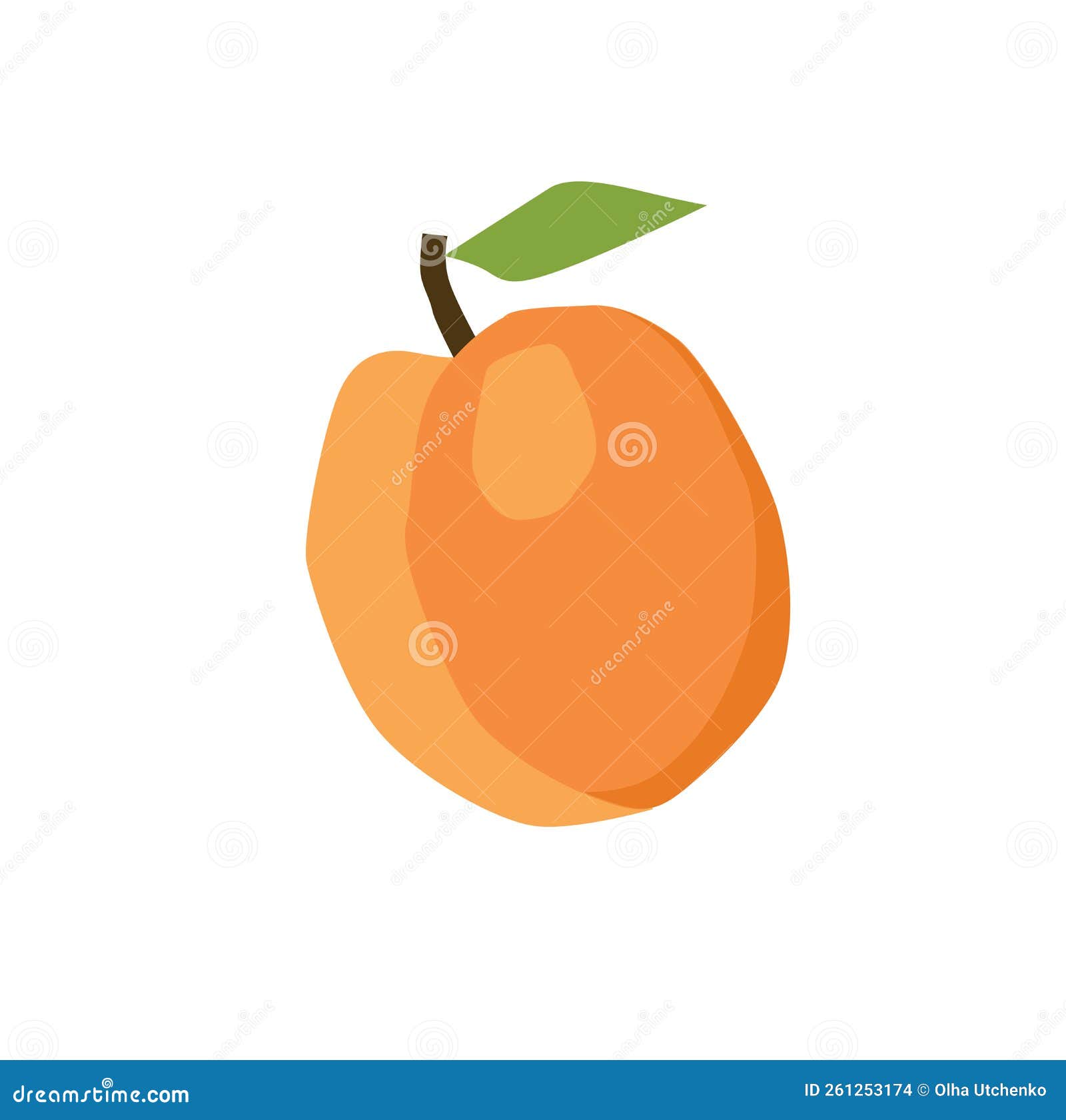 Print. Vector Apricot. Fruit. Agriculture. Farming. Garden Fruit. Fresh ...