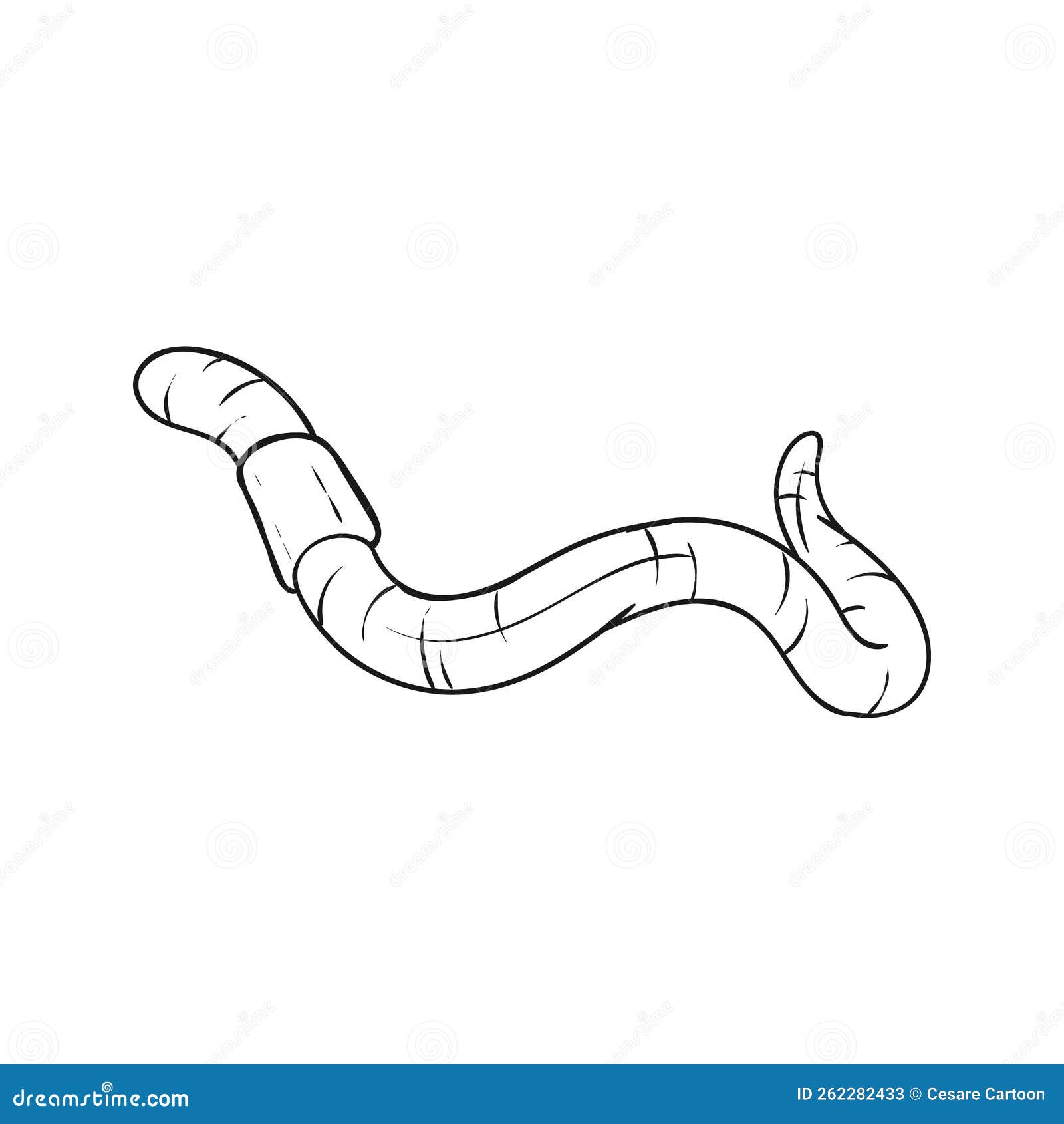 Hand draw earthworm stock vector. Illustration of design - 262282433