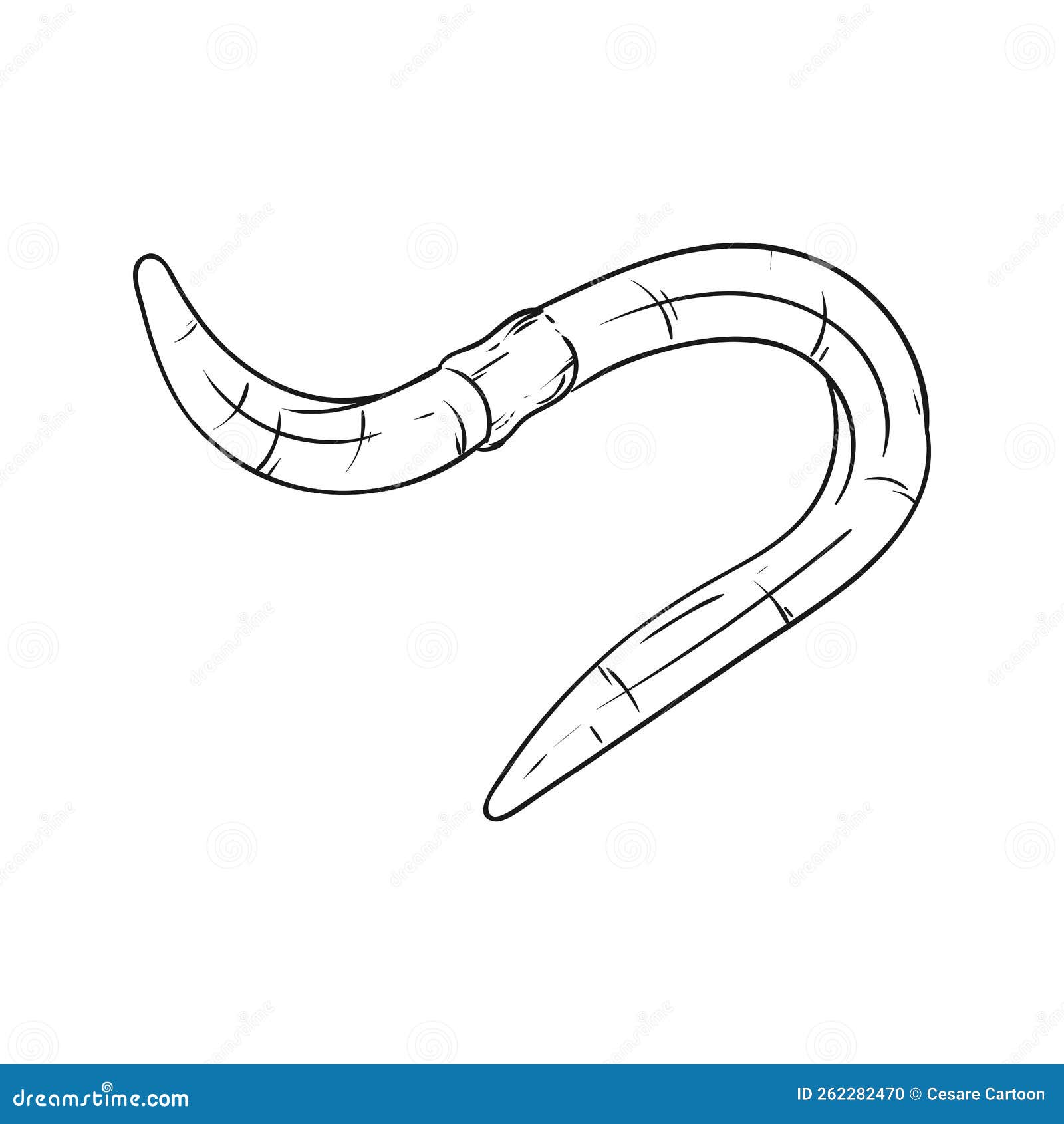 Hand draw earthworm stock vector. Illustration of vector - 262282470
