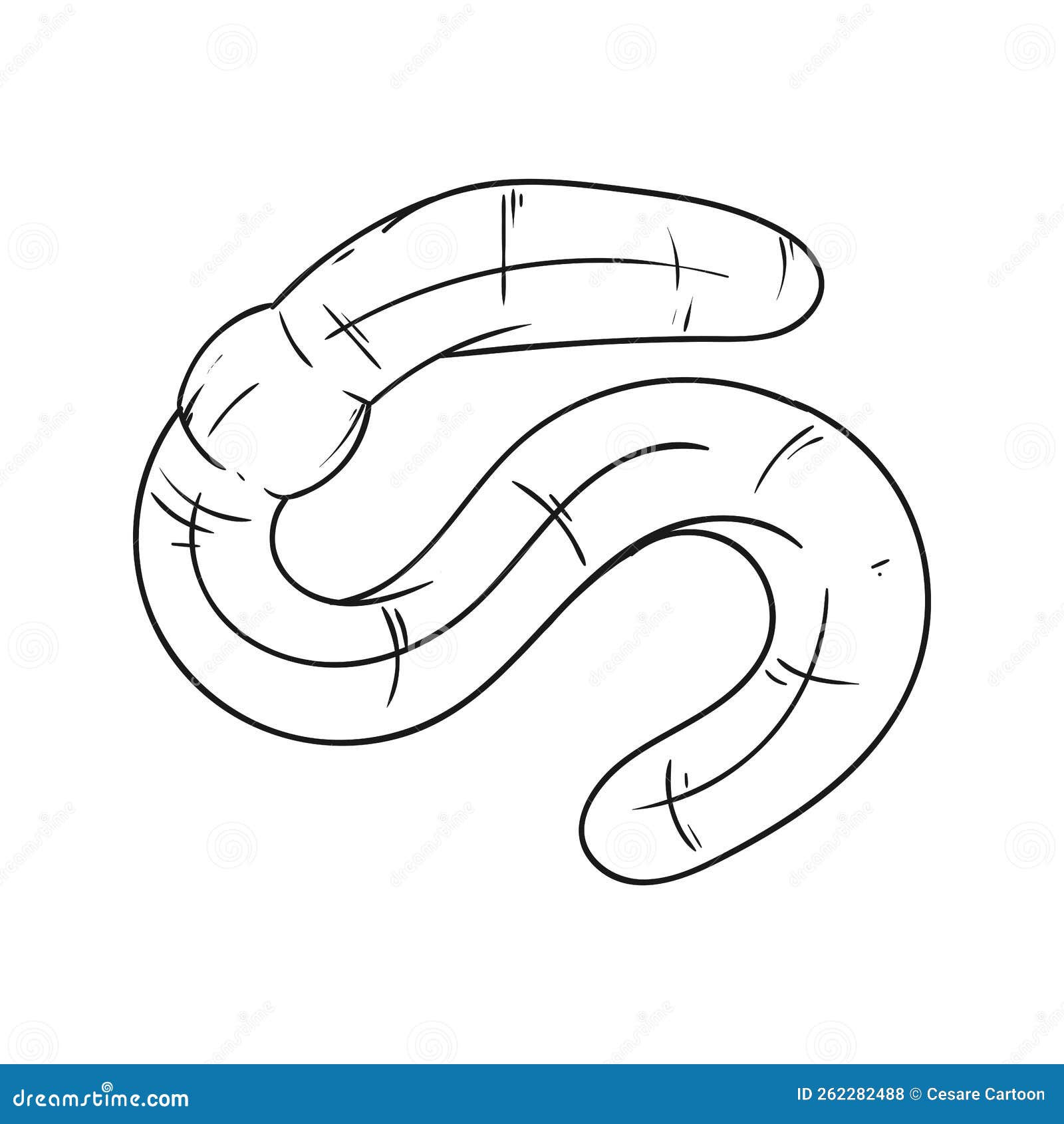 Hand draw earthworm stock vector. Illustration of design - 262282488