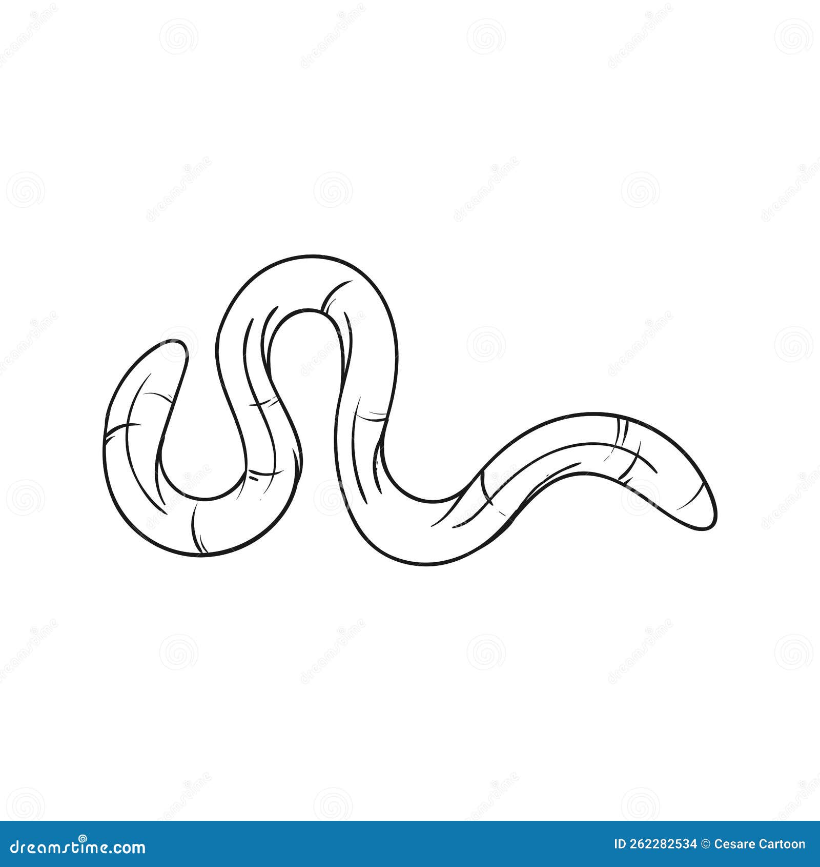 Hand draw earthworm stock vector. Illustration of simple - 262282534