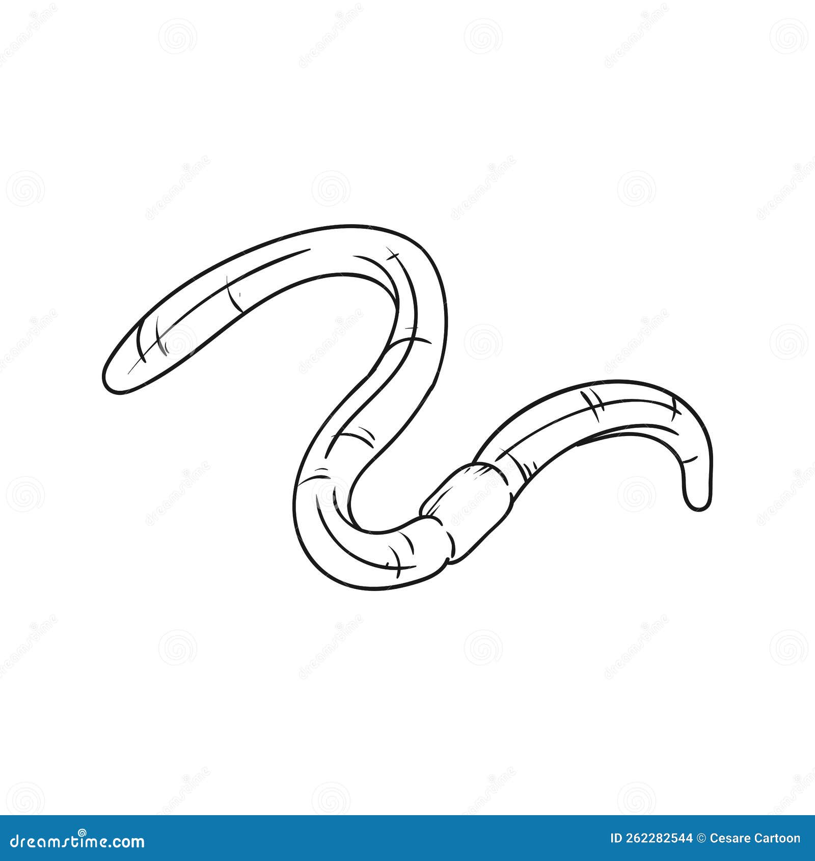Hand draw earthworm stock vector. Illustration of simple - 262282544