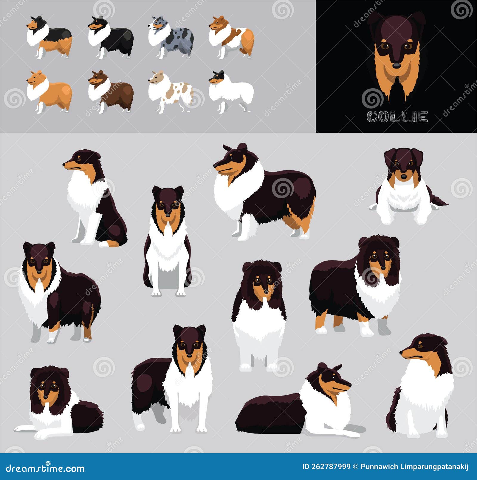 Dog Collie Black Coat Cartoon Vector Illustration Color Variation Set ...