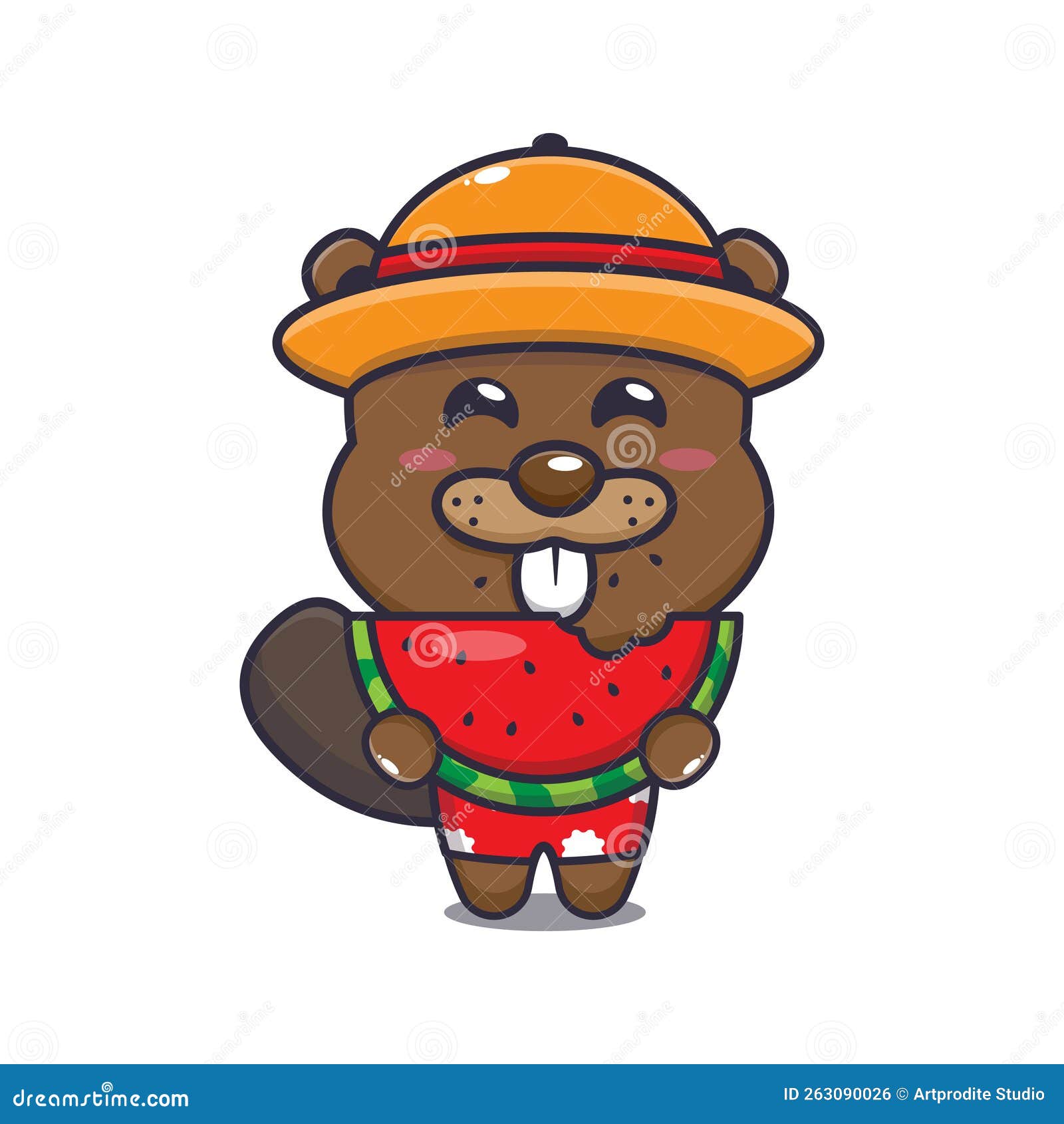 Cute Beaver Cartoon Mascot Character Eat Fresh Watermelon. Stock Vector ...