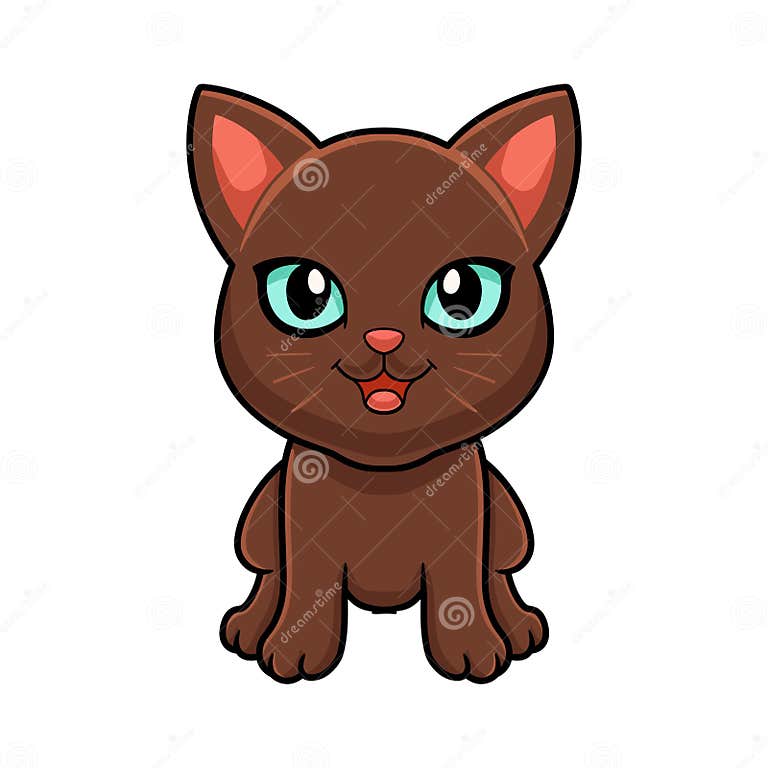 Cute Havana Brown Cat Cartoon Stock Vector - Illustration of pedigree ...