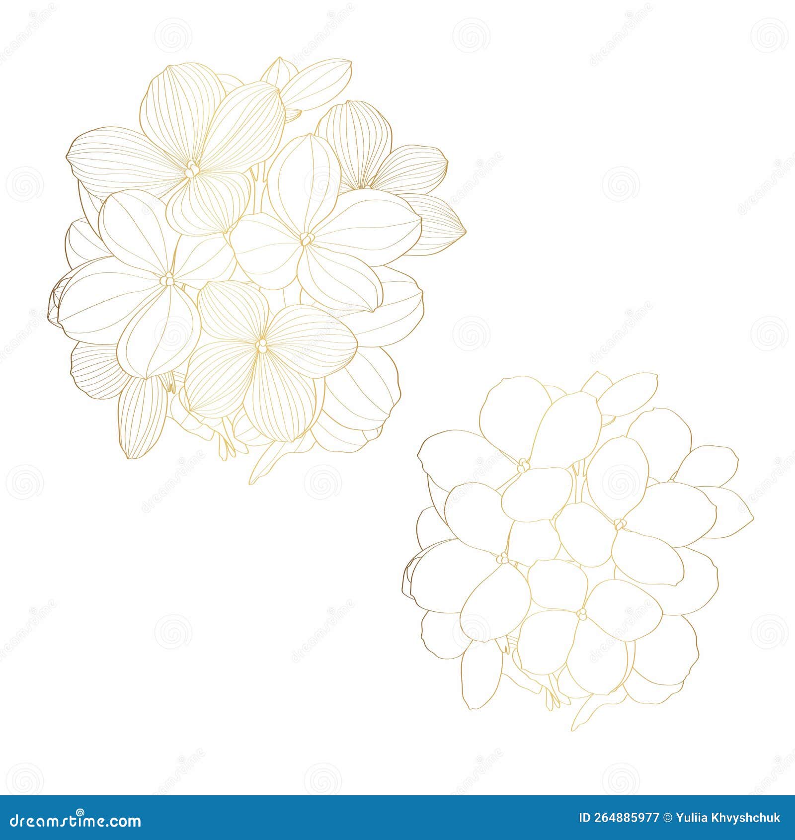 Hand Draw Golden Line Hydrangea Flowers Illustration. Botanical Floral ...
