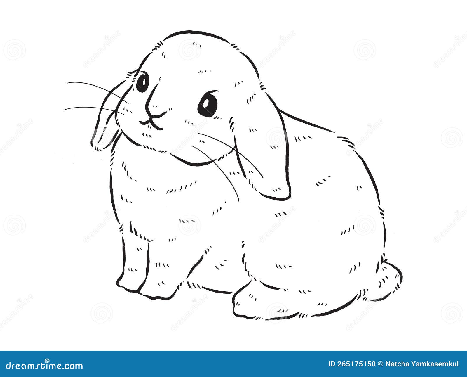 Sketch Of Bunny Holding A Blank Sheet Of Paper. Hand Drawn Outline ...