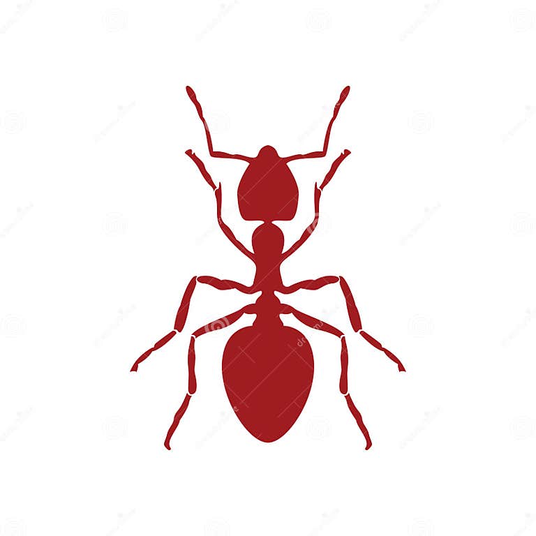 Ant Illustration Vector Design. Creative Ant Icon Stock Vector ...