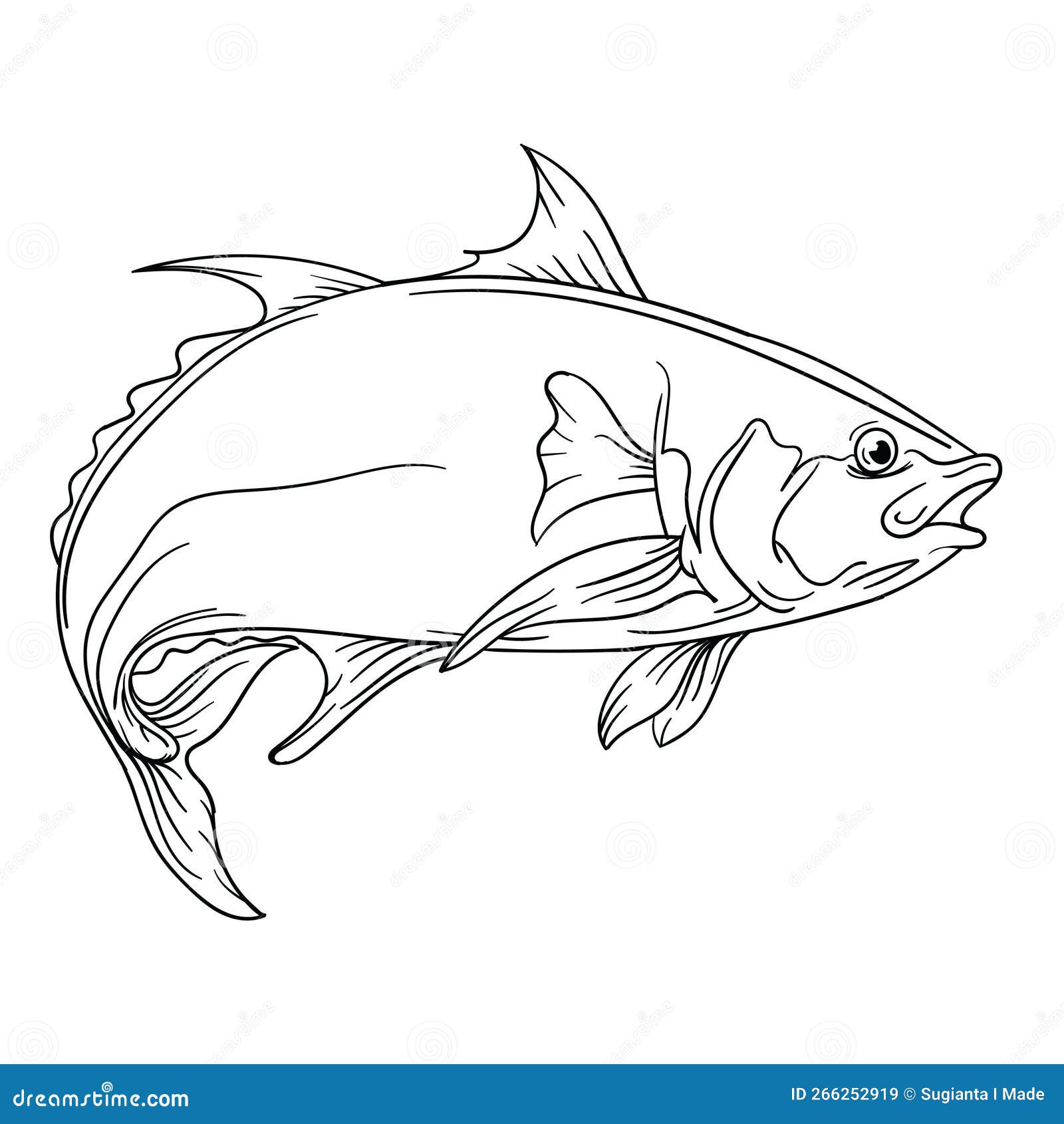 Fish hand drawing vector stock vector. Illustration of predator - 266252919