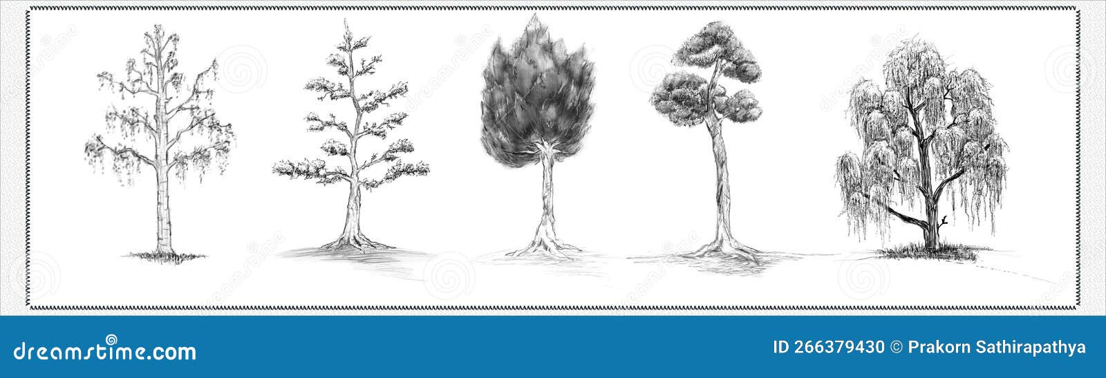 Sketching Trees in Many Basic Shapes Stock Vector - Illustration of ...